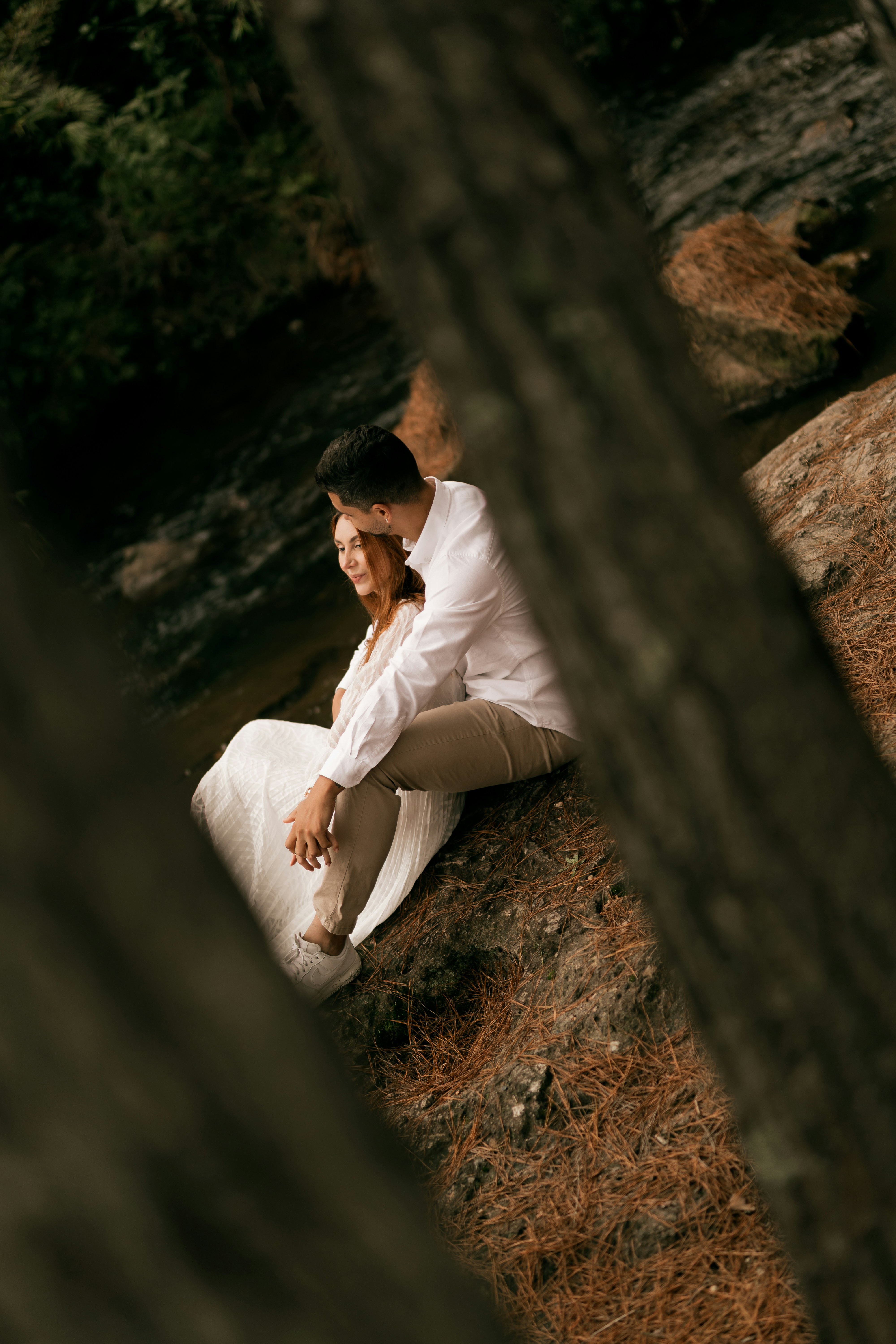 Quiet Moment on the Forest Ridge