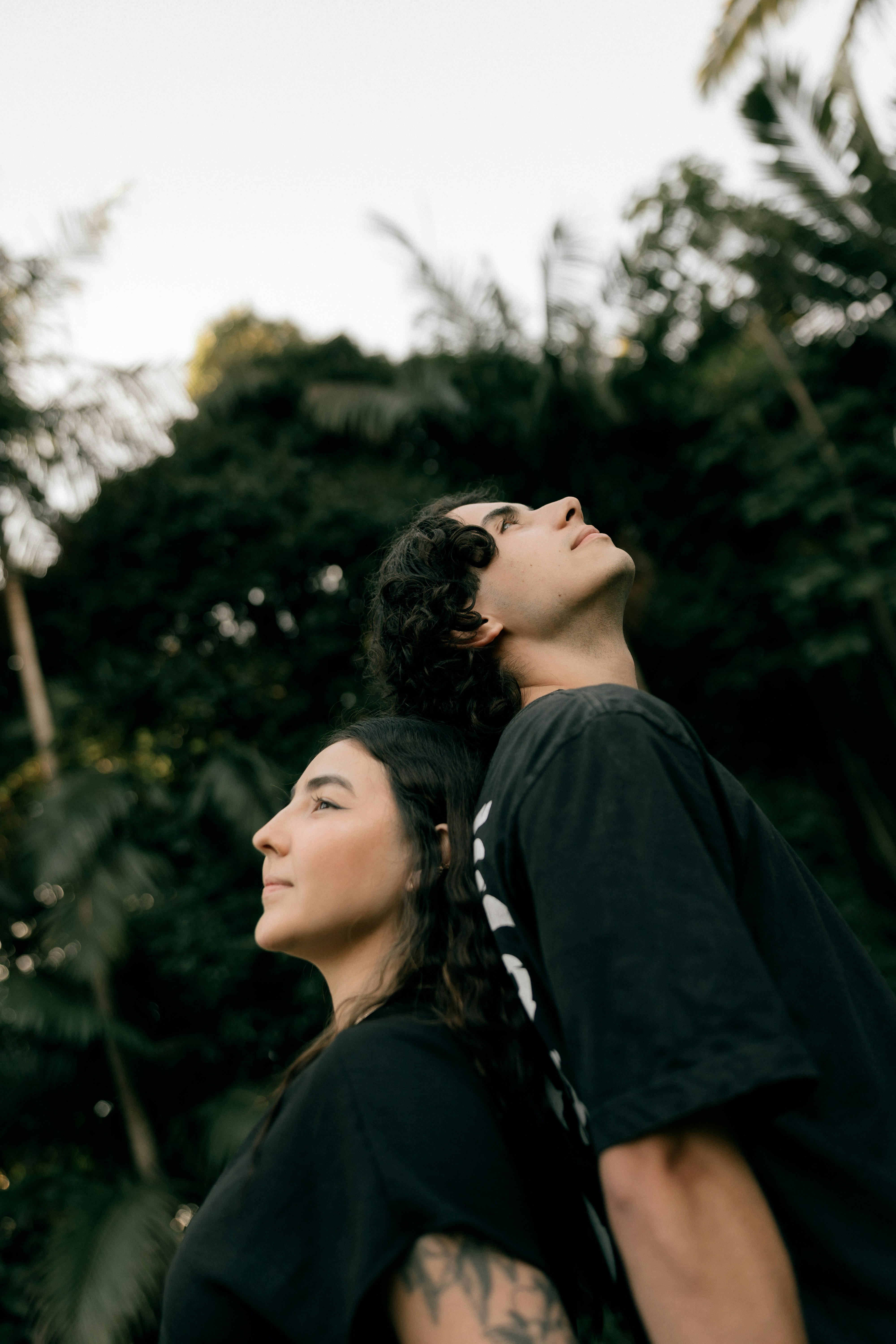 Rising Heads, Grounded Roots: A Dual Portrait Under tropical Canopy