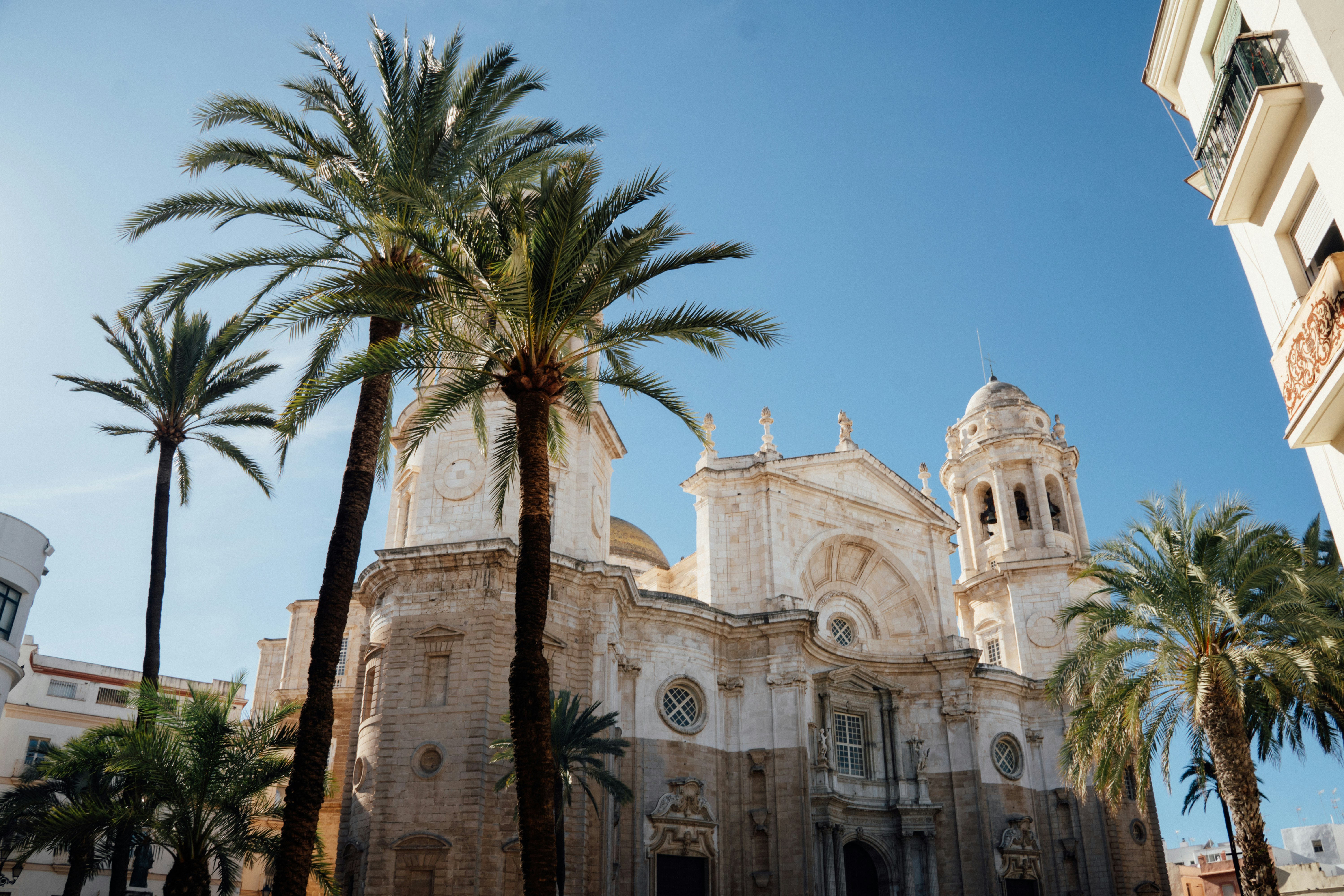 Palm-lined Cathedral Dawn: Stone Facade Amid Bright Blue Sky