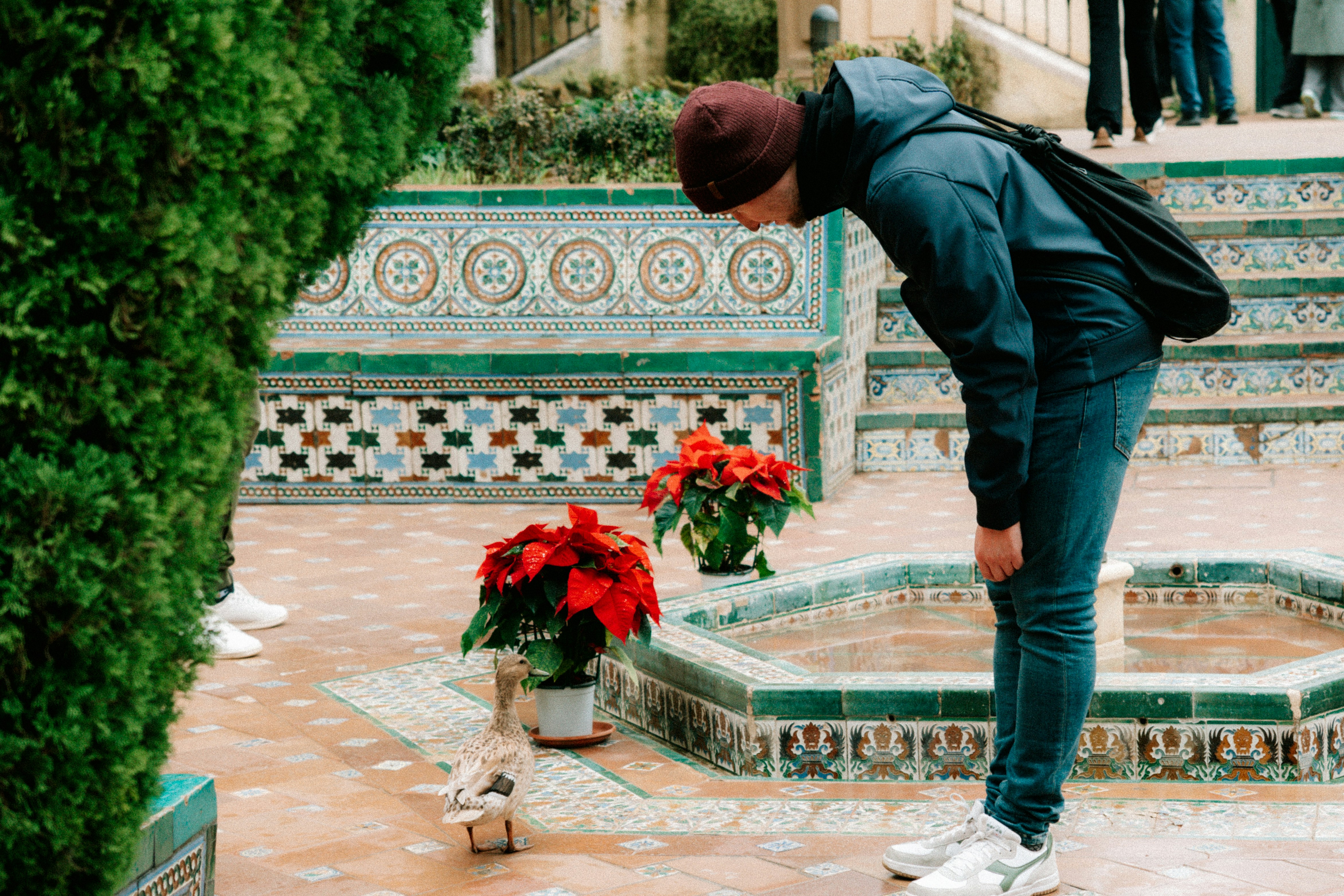 A person bending toward a decorative fountain amid turquoise tiled steps and potted red poinsettias; an urban courtyard scene with a backpack and casual attire.