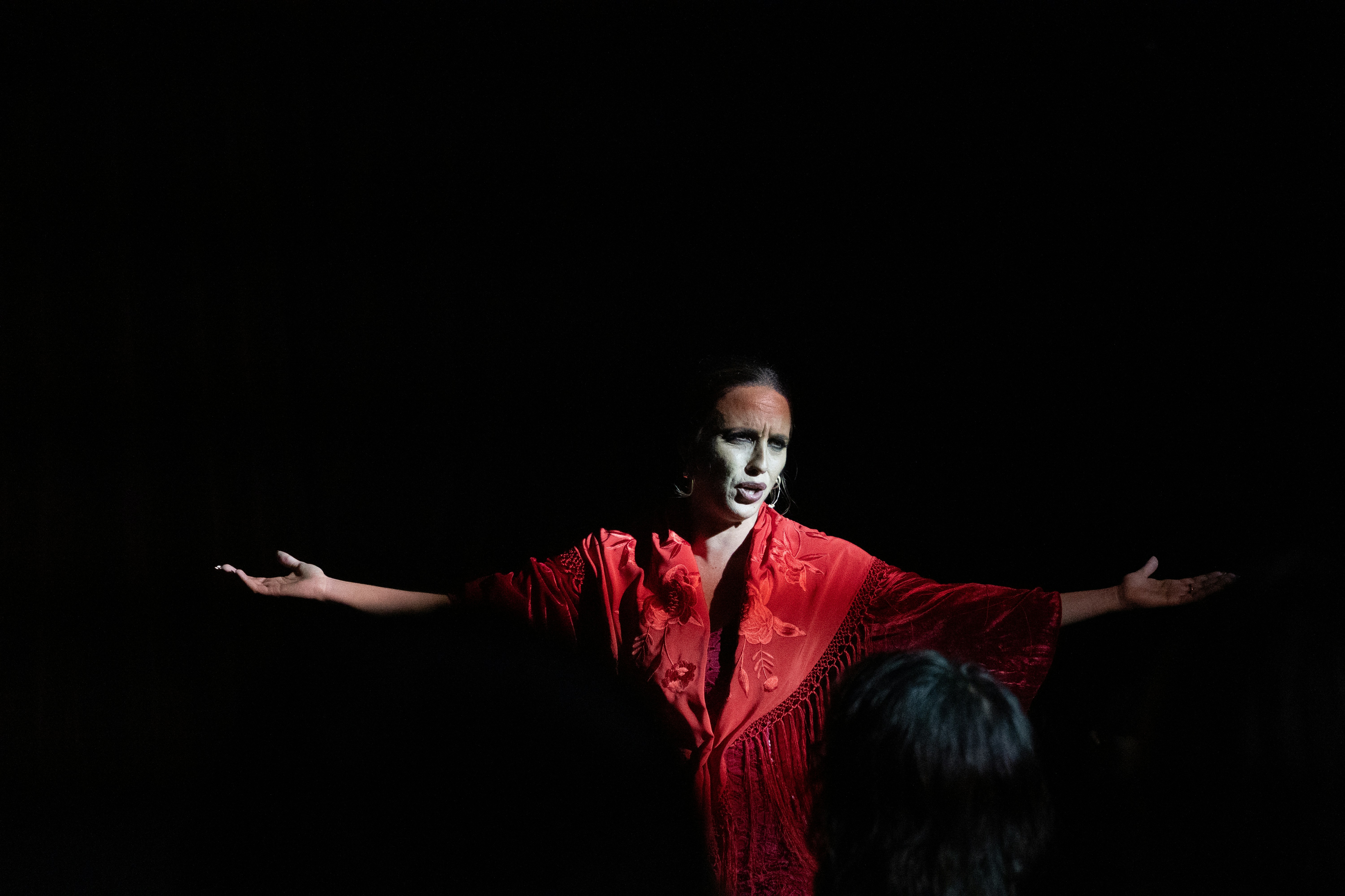 Red-Clad Performer Anchored in Shadow