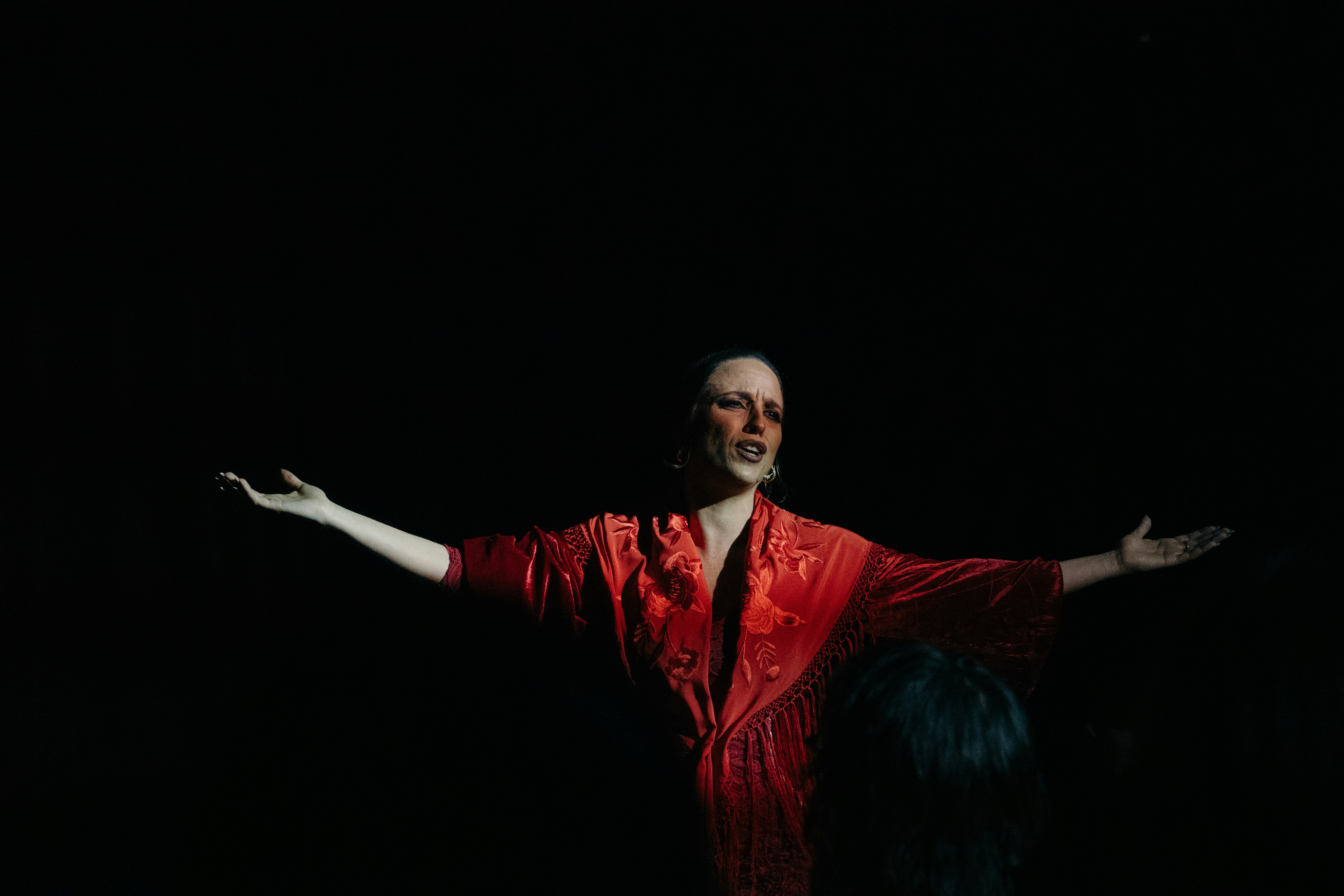 Emerald Spotlight: A Red-Robed Moment on Stage