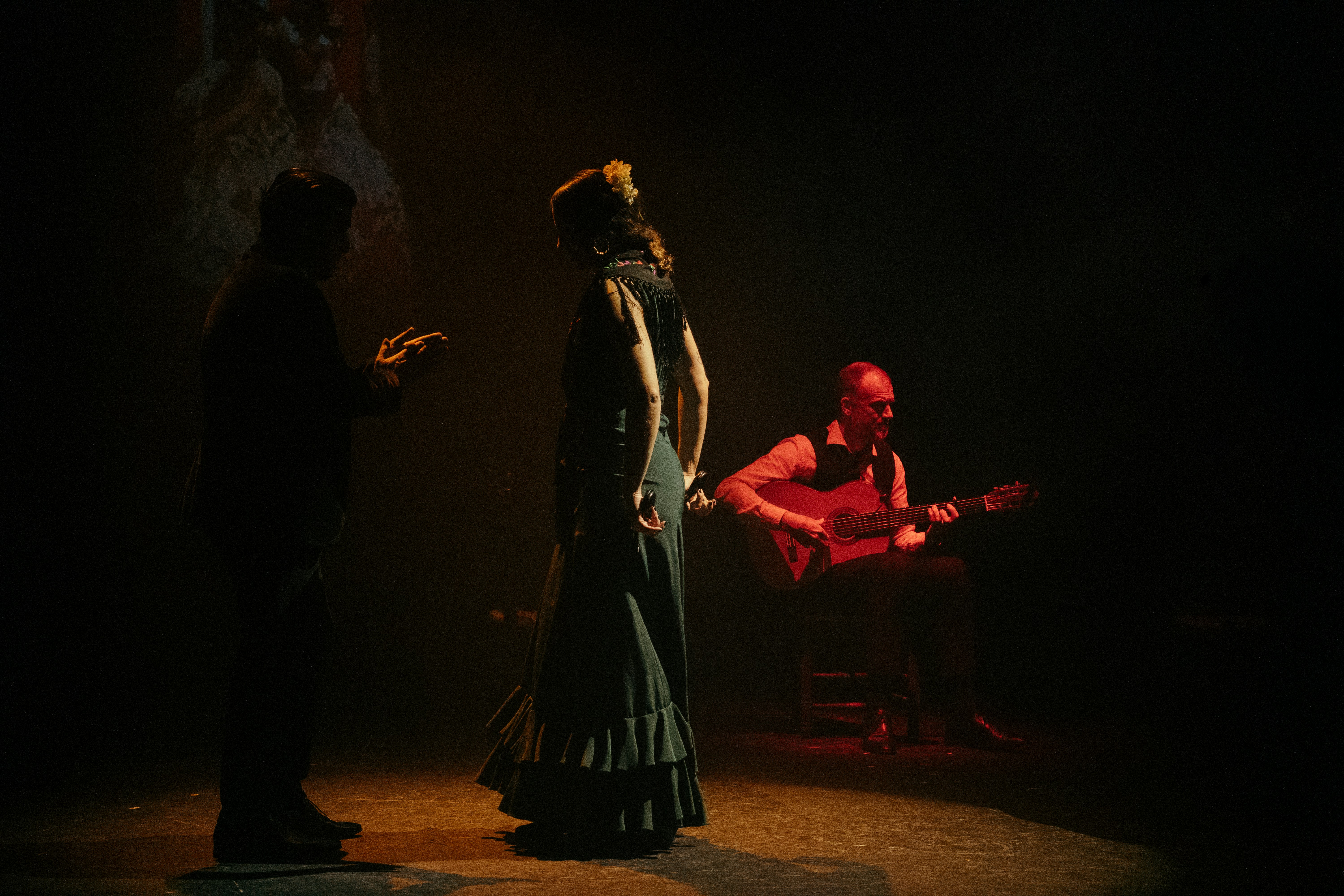 Midnight Serenade: A Female Vocalist Understage Flame with Guitarist in Shadow