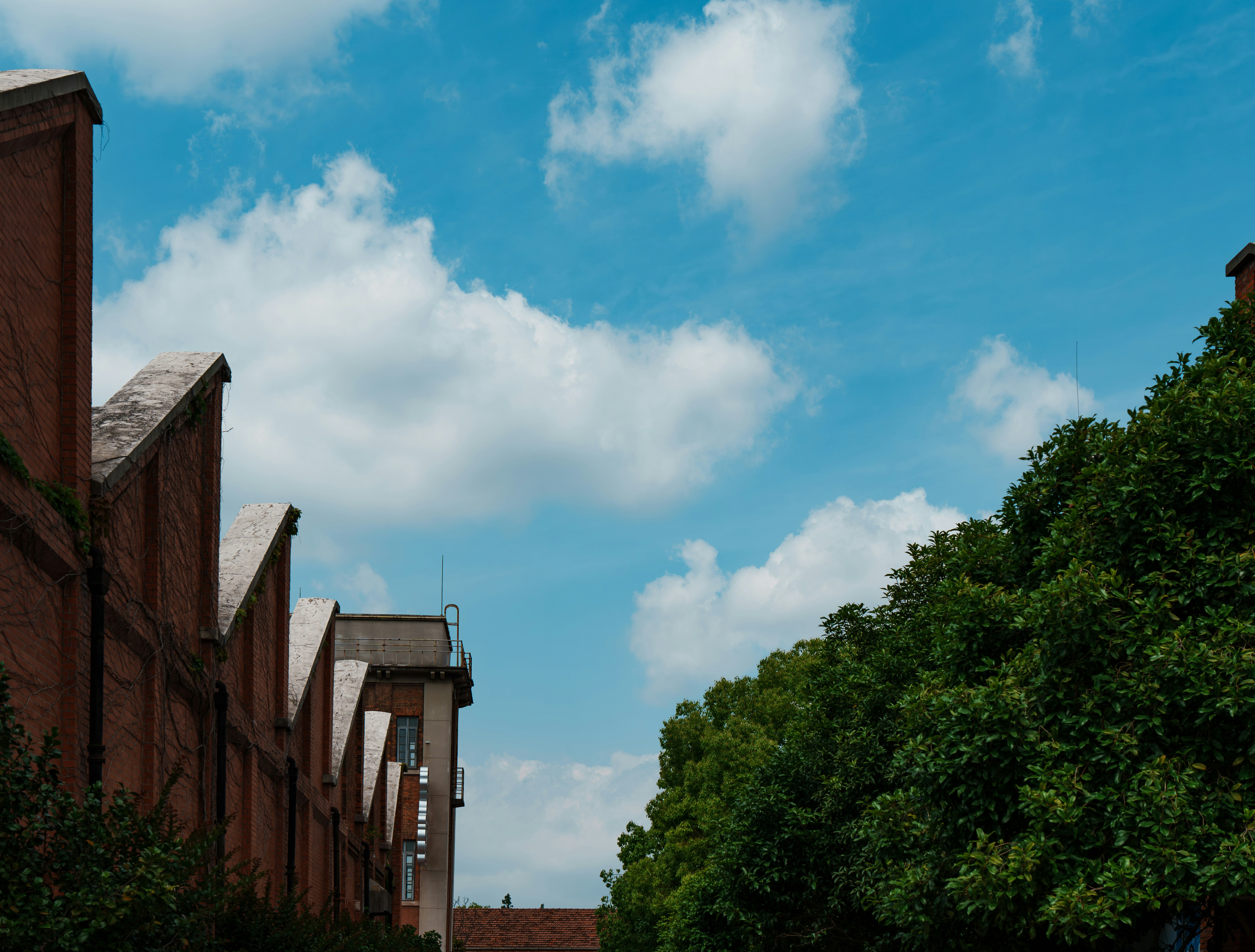 Sawtooth roof building and green trees against a blue sky.