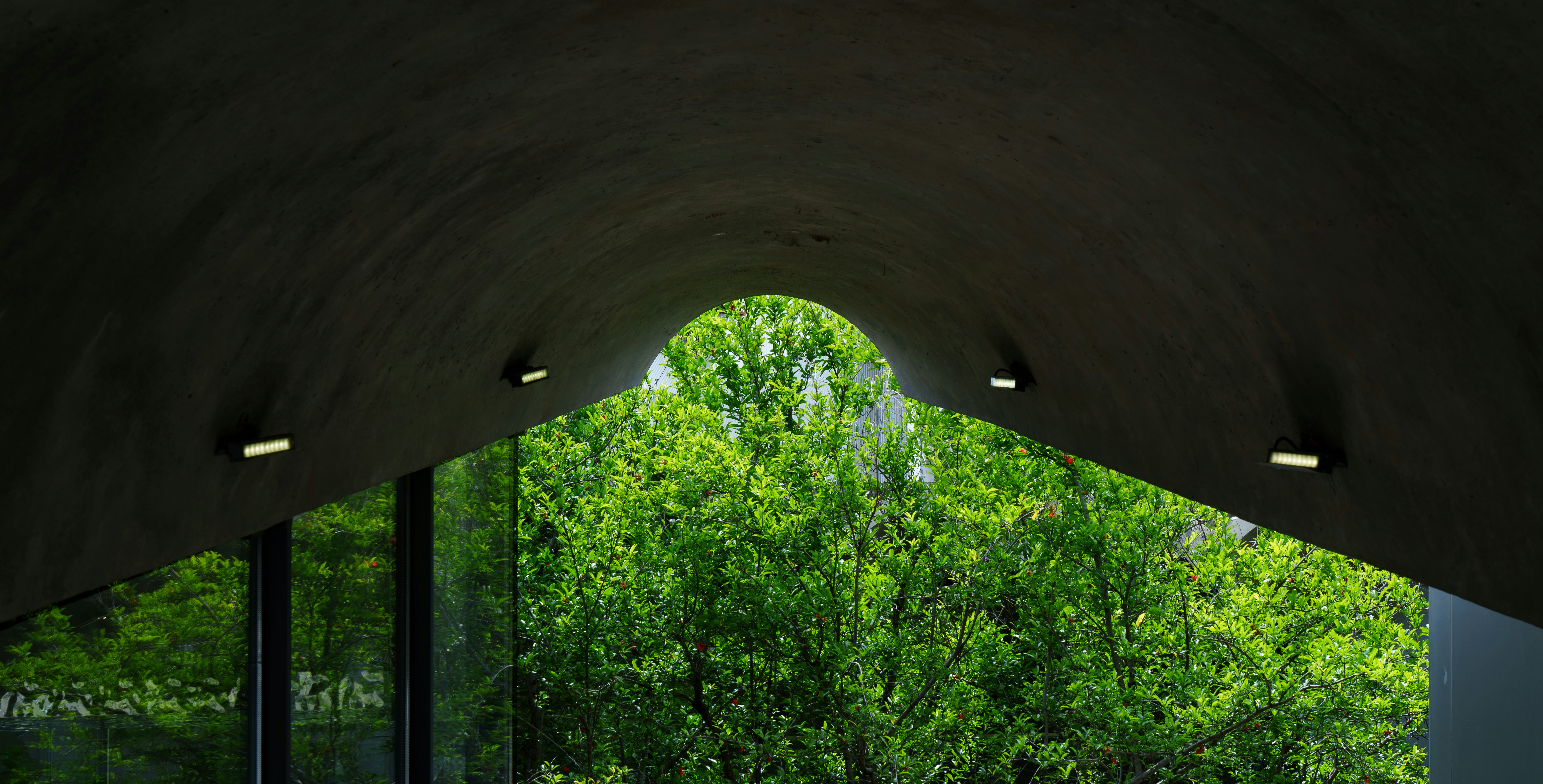 Green Archway: Light at the End of the Tunnel