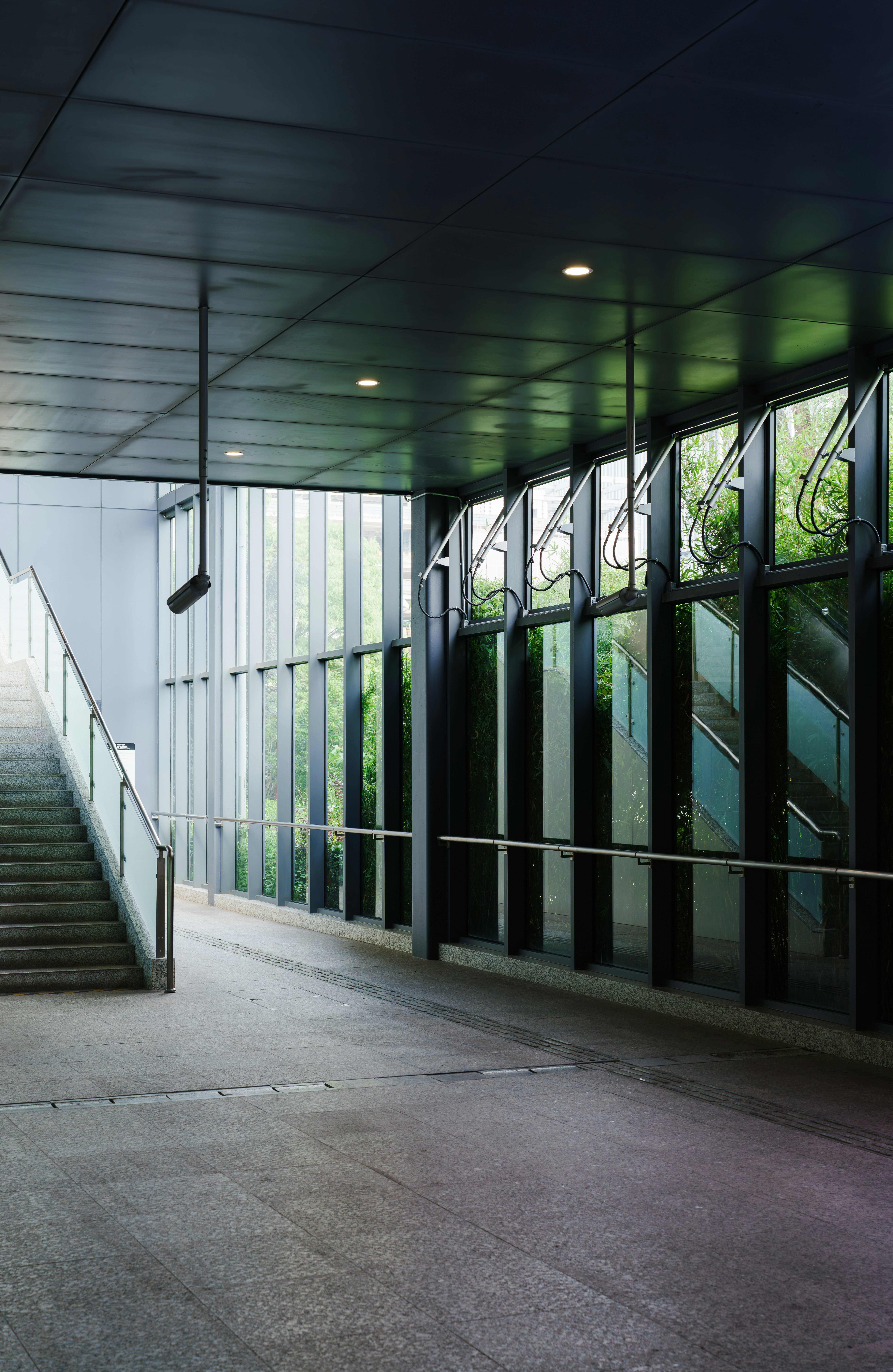 Glass-and-Steel Corridor: Light, Shadow, and Rows of Windows