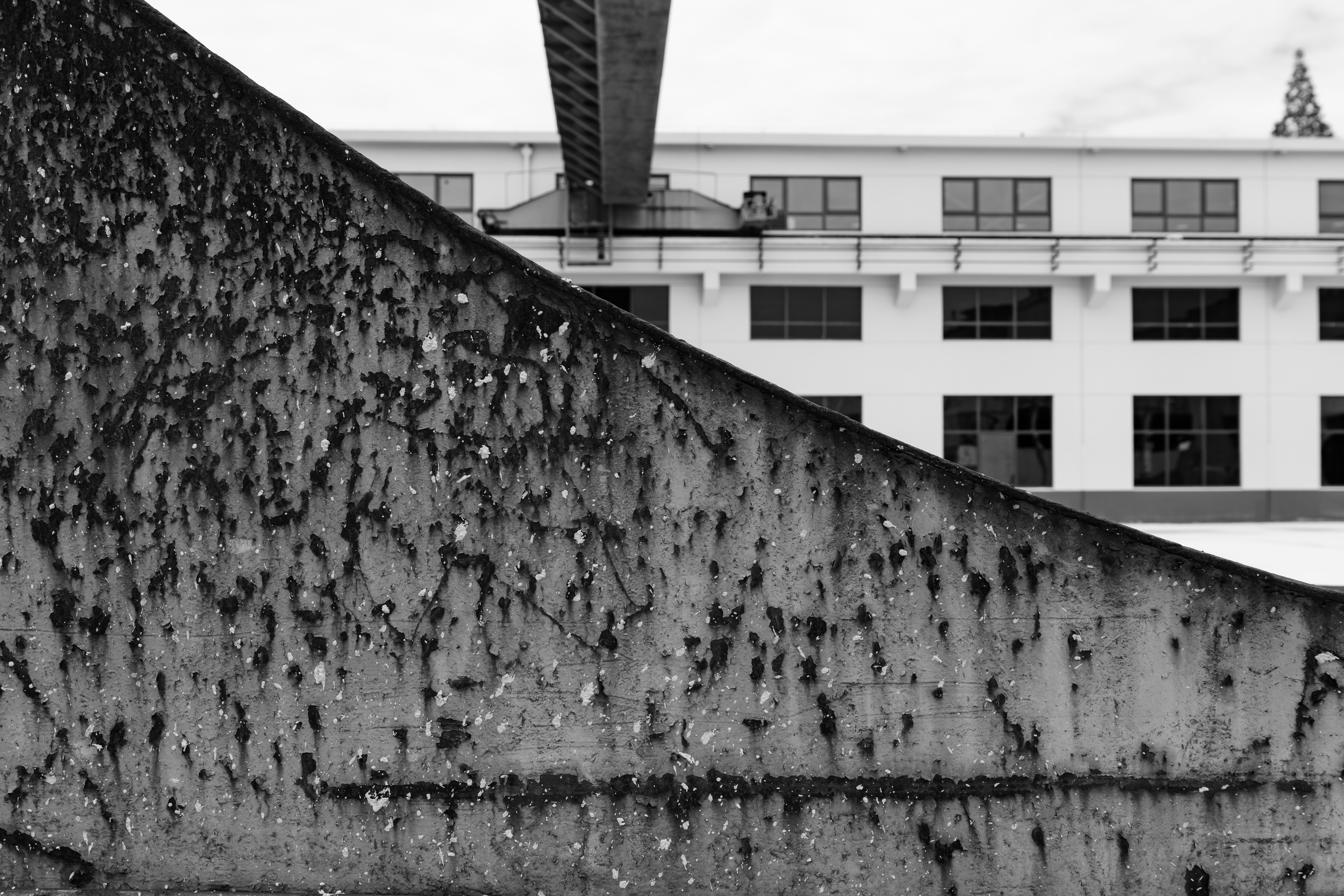 Concrete Curve: A Monochrome Moment of Texture and Structure