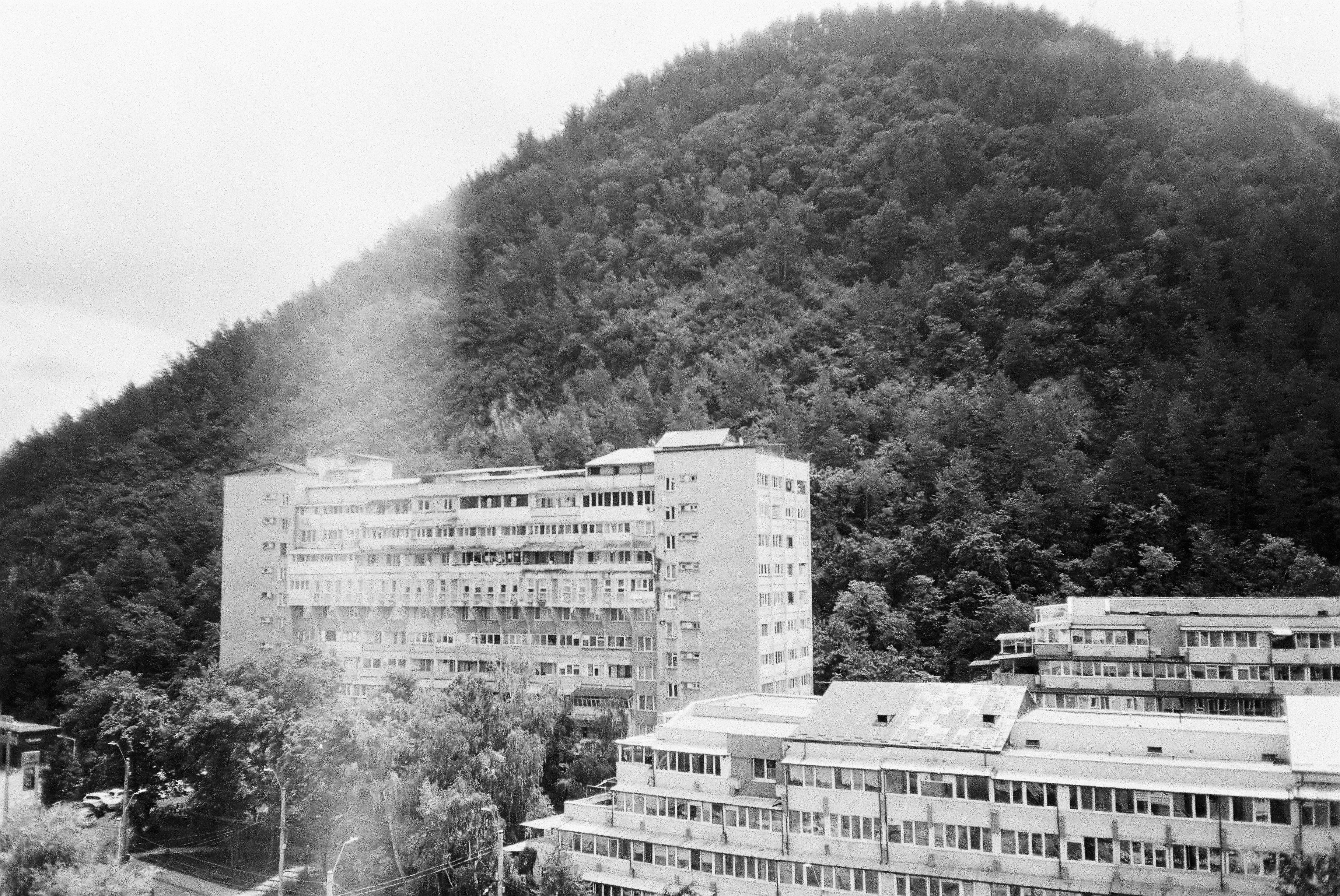Urban Cliffside: Concrete Waves Against a Verdant Backdrop