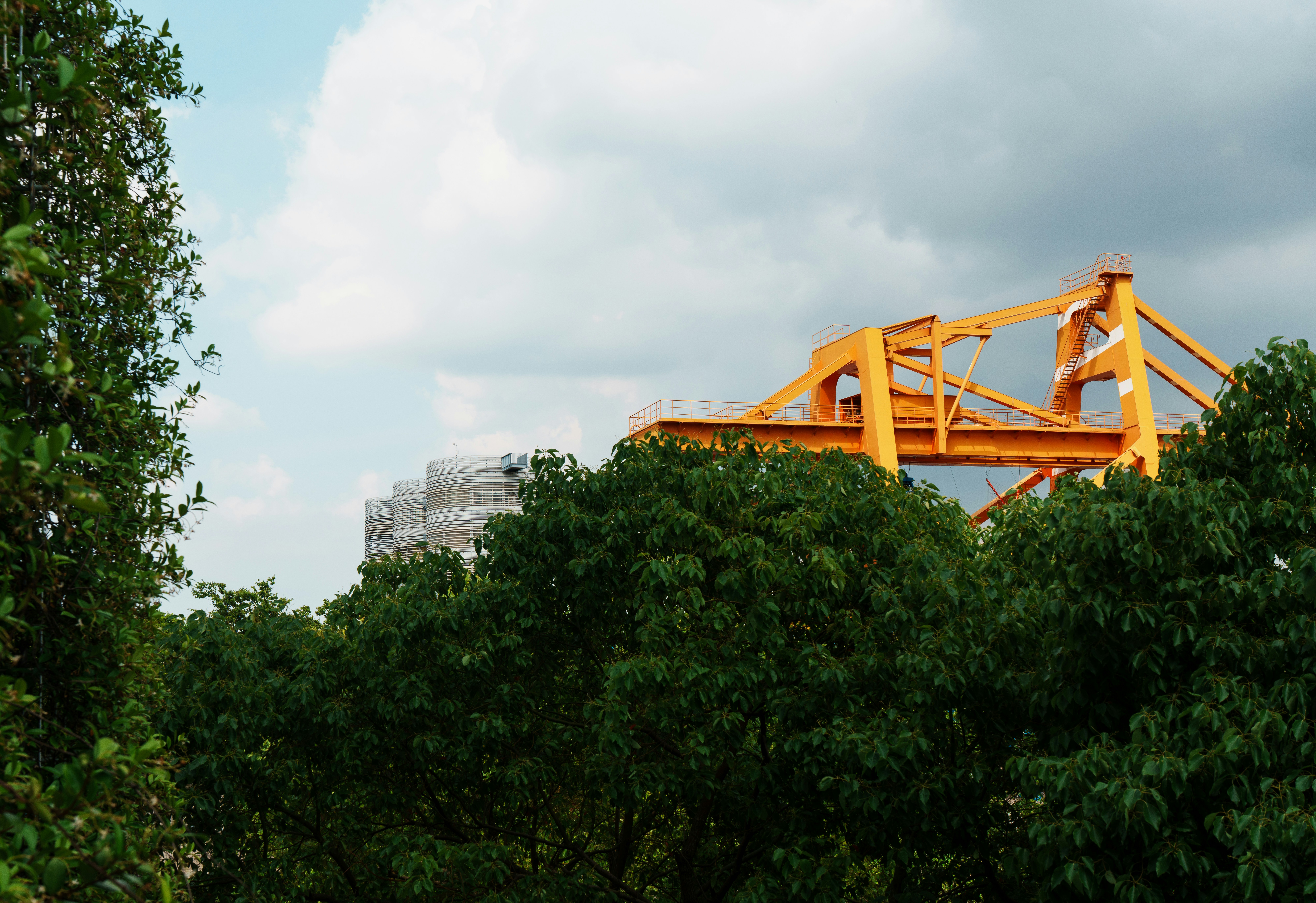 Orange cantilever rises above a green canopy