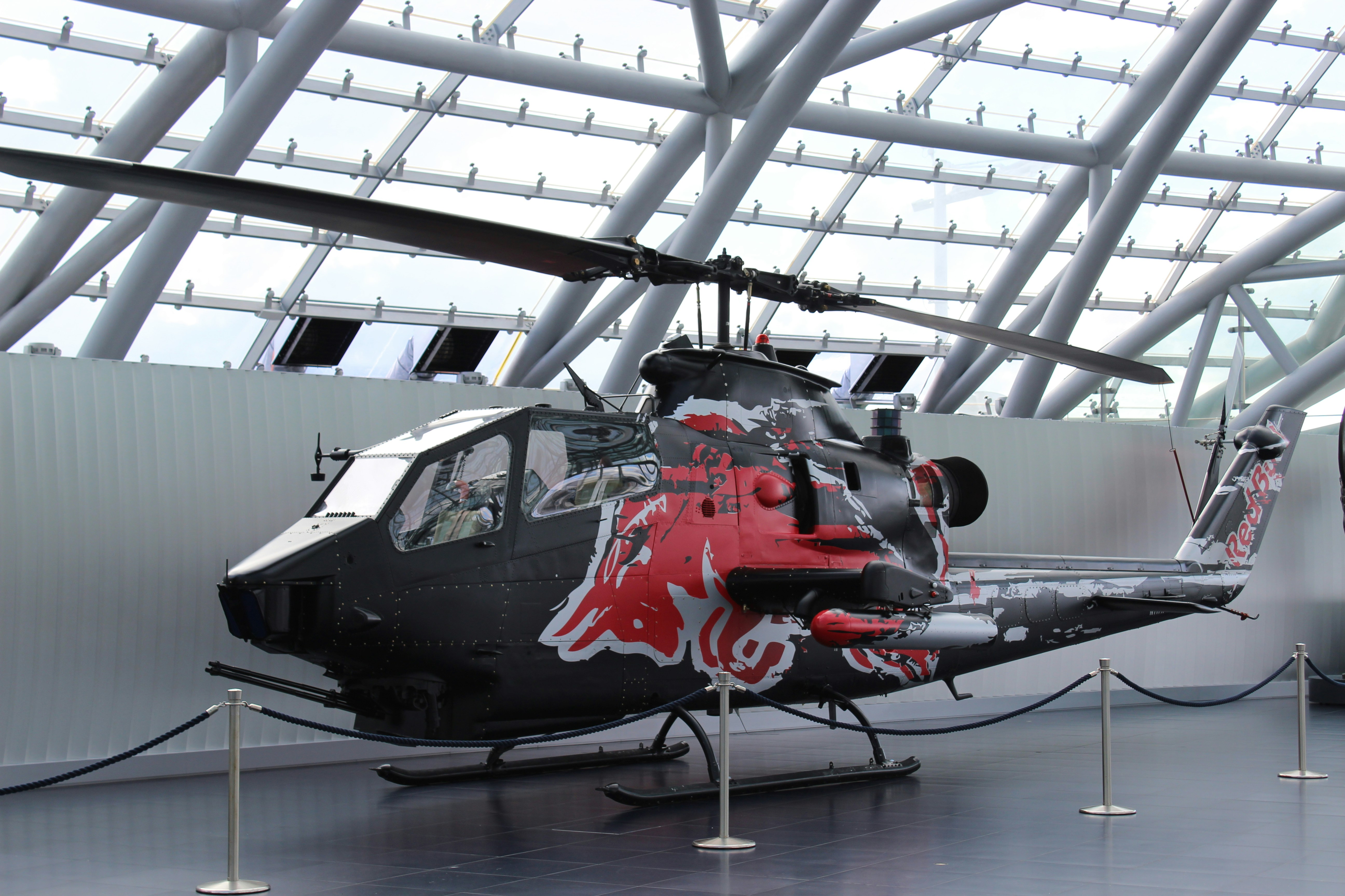 Red Hawk in a Modern Atrium