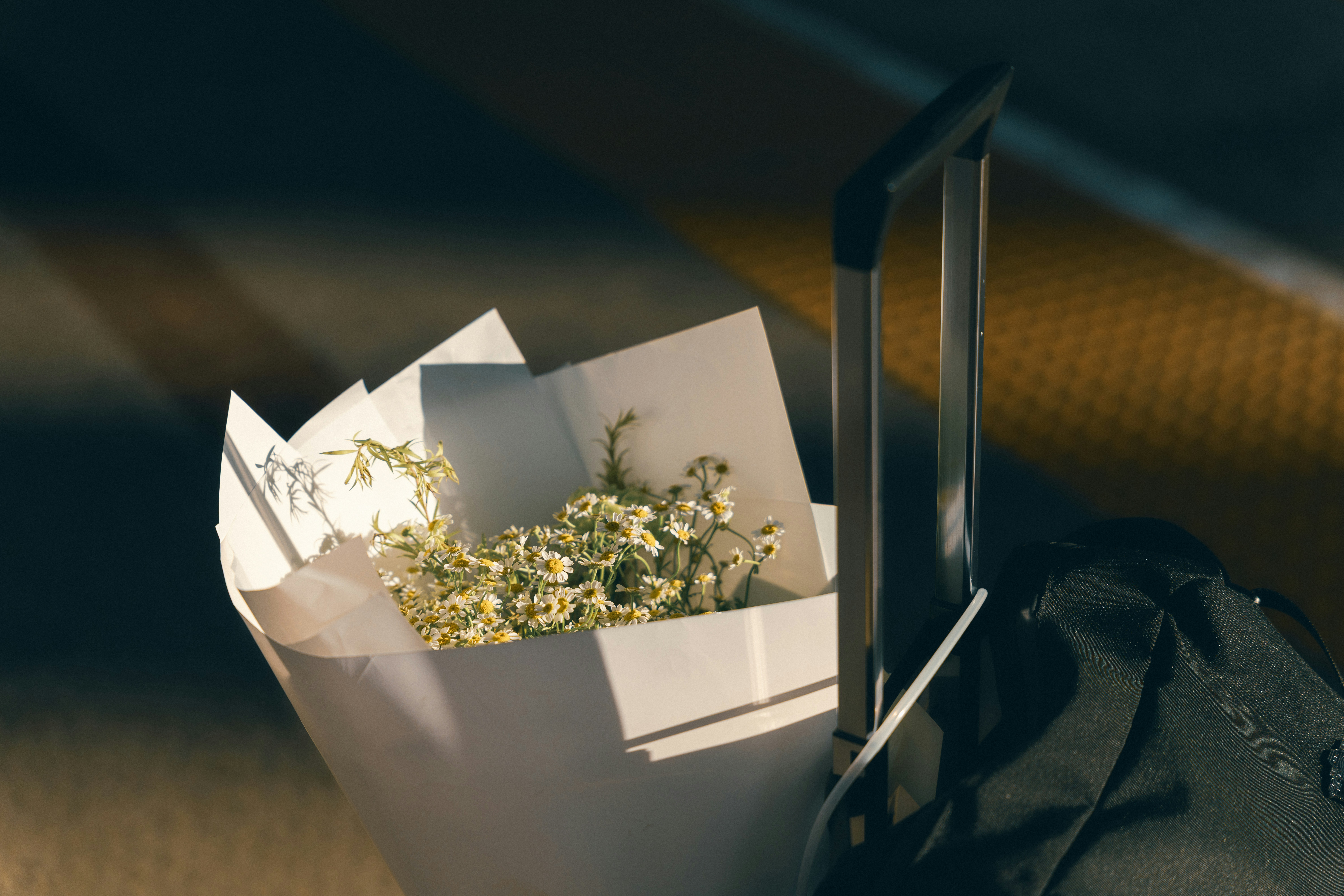 A Bouquet in Transit: The Minimalist Carry-On Stop for Freshness