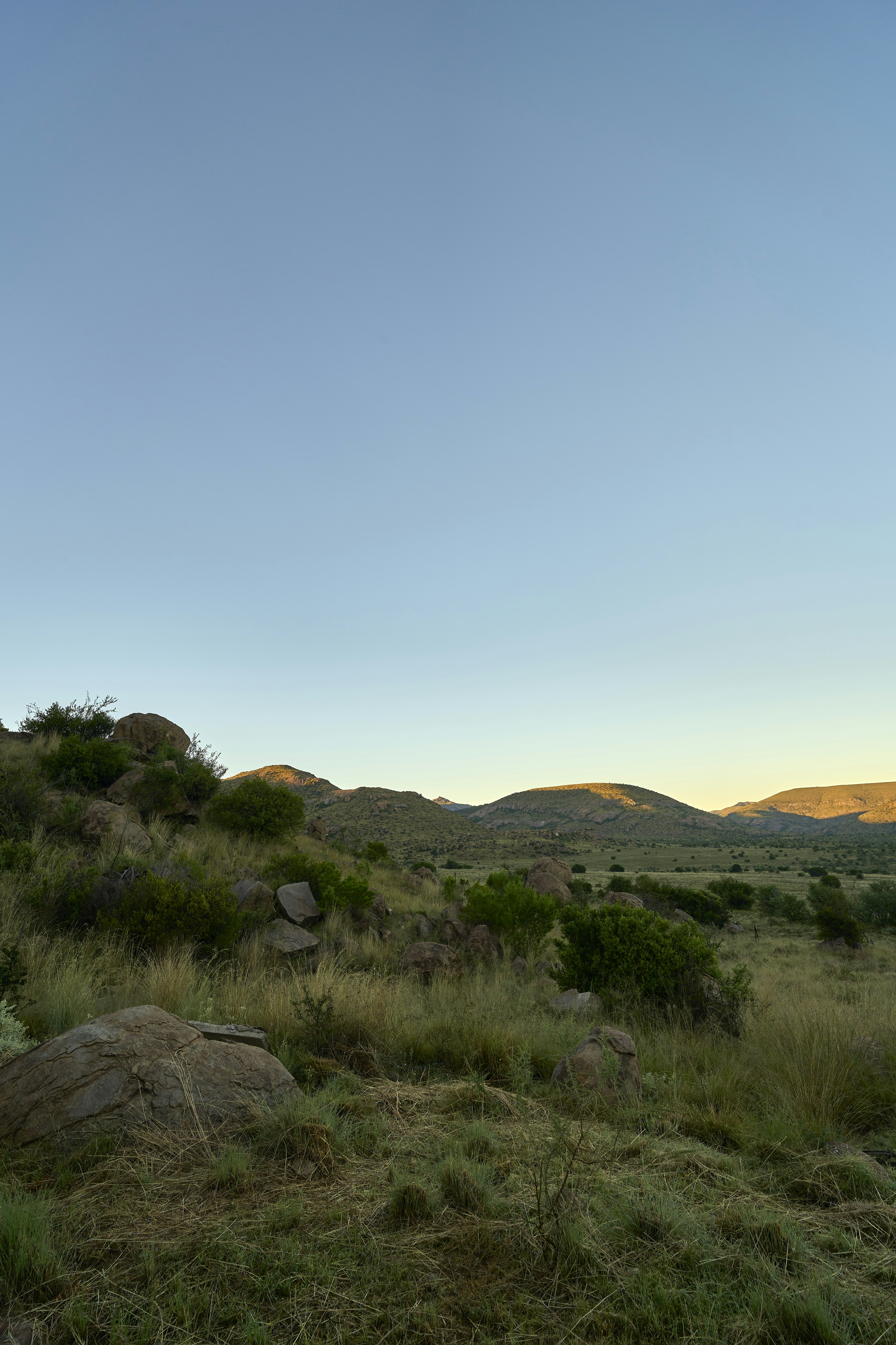 Sunlit Hills at Dusk: A Quiet Prairie Under a Clear Sky