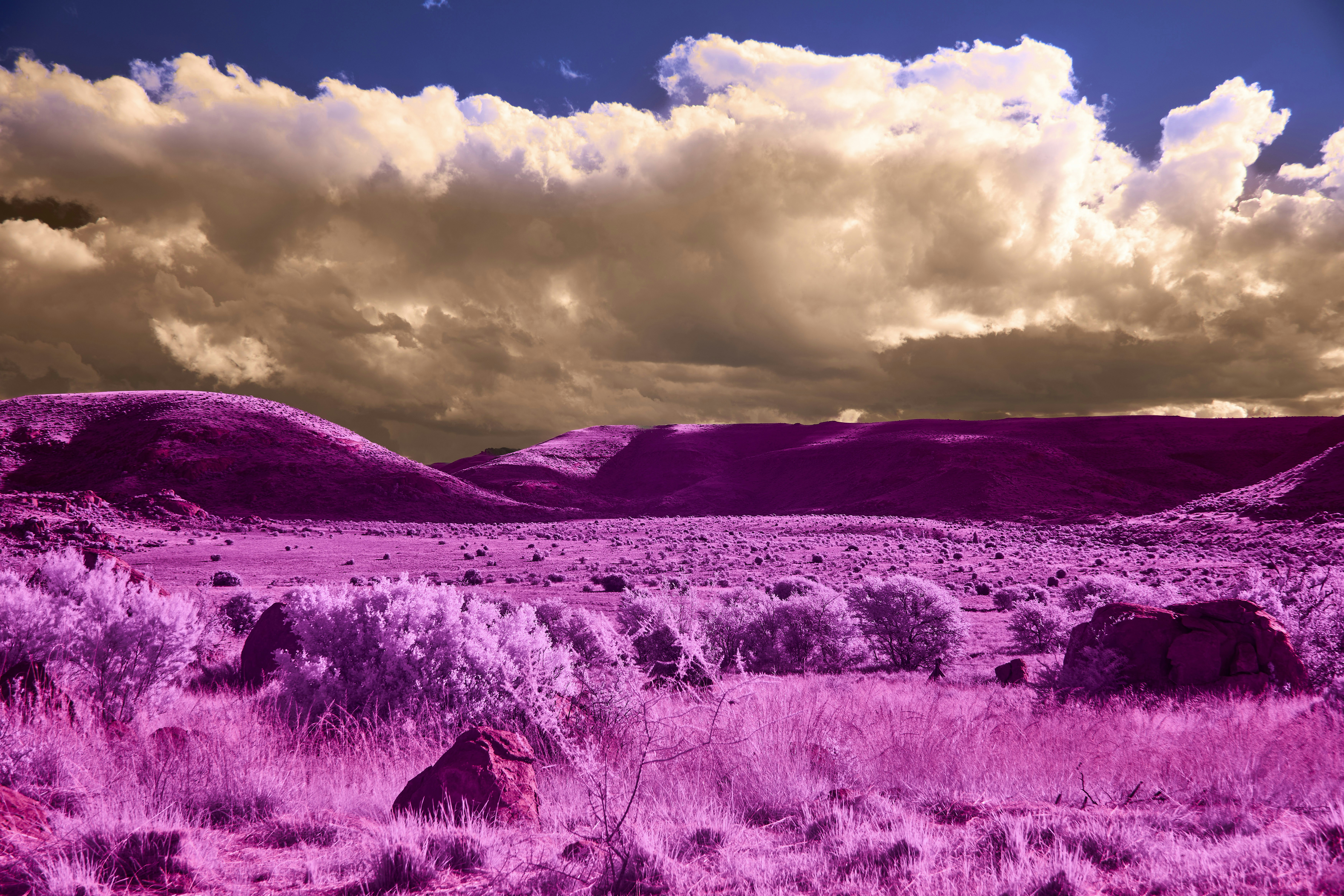Magenta Desert: Velvet Hills Under a Rumble Sky