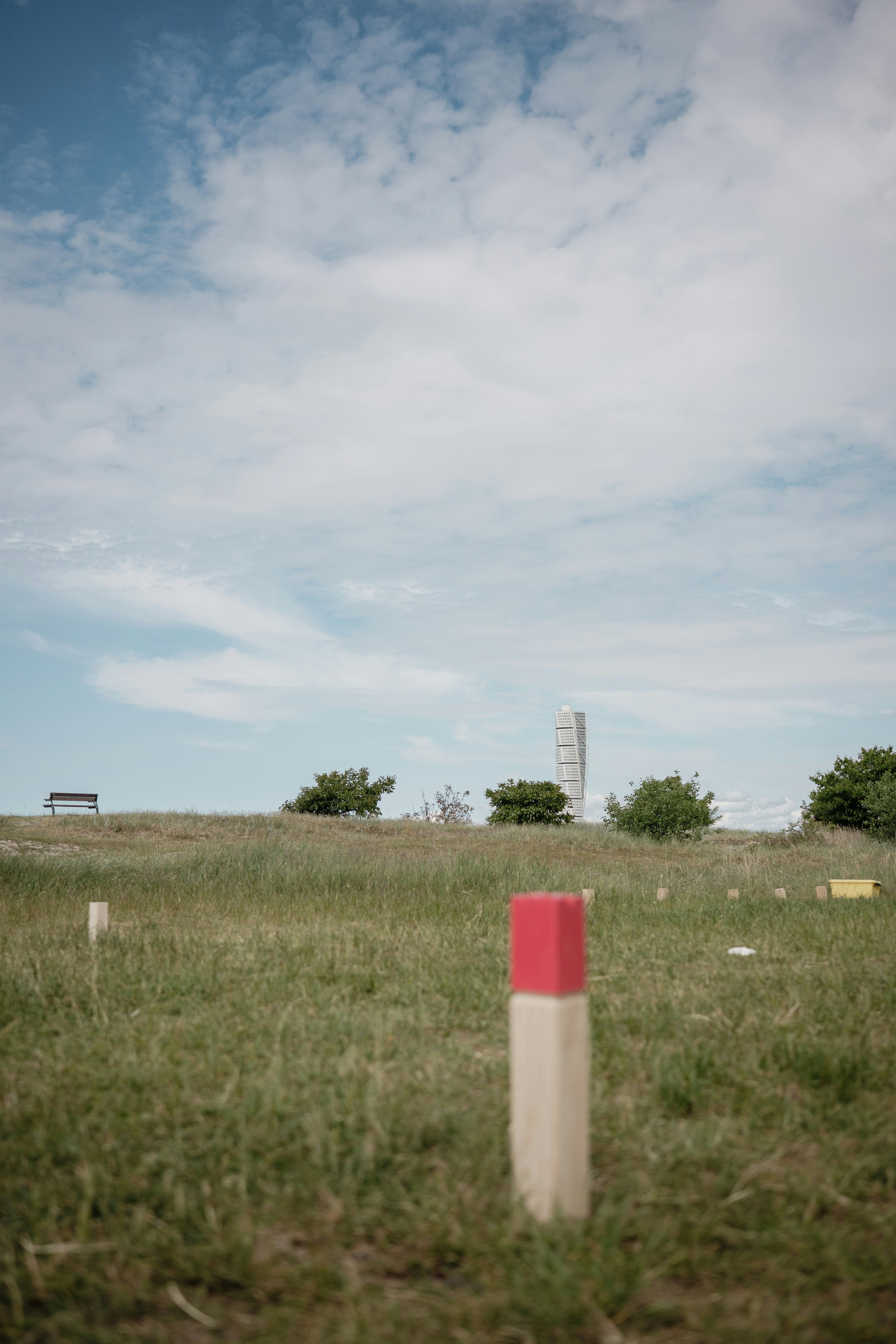 Red-Capped Pillar in a Quiet Prairie