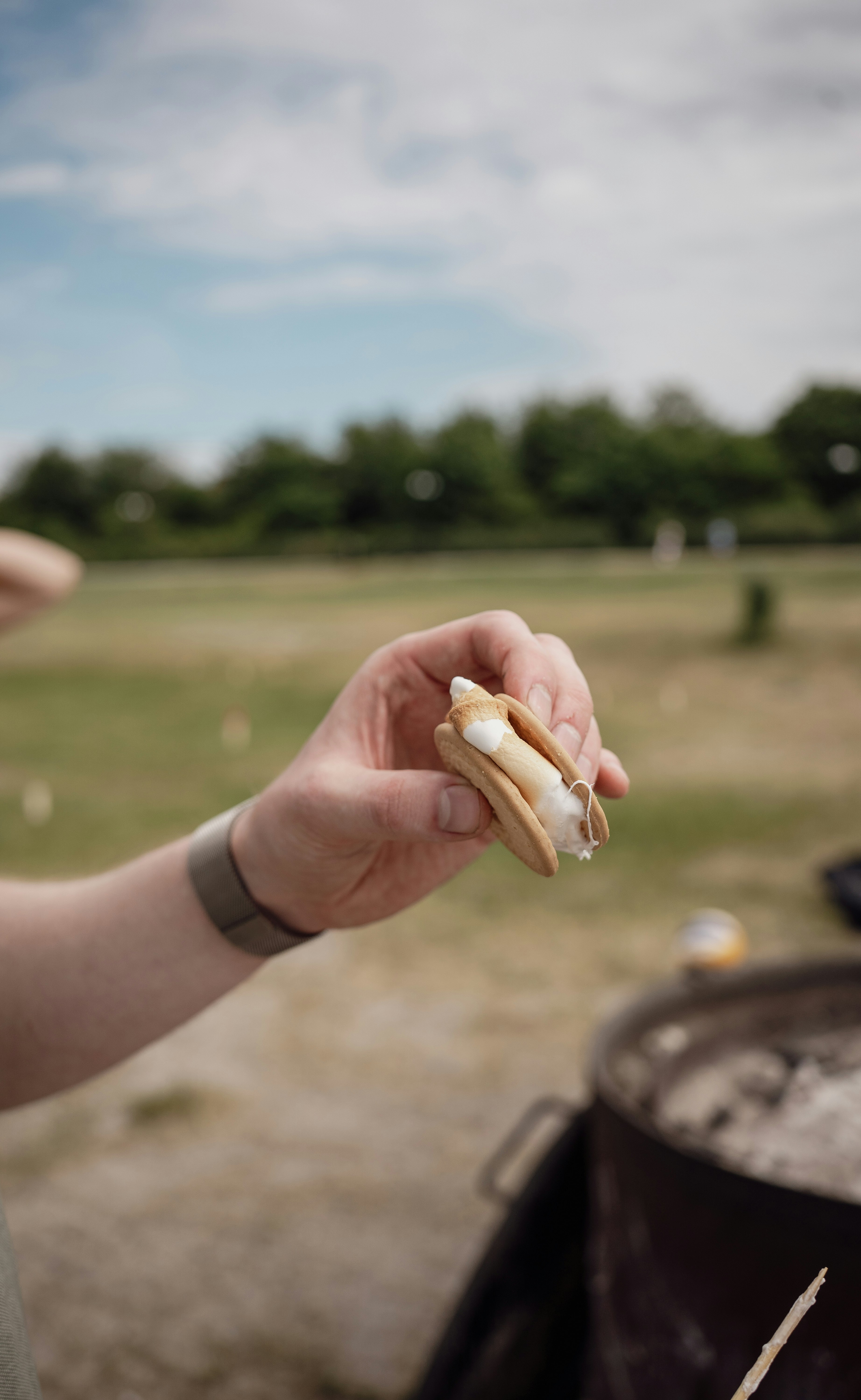 Hands-on Grill Picnic: Making a Sweet S’more Moment