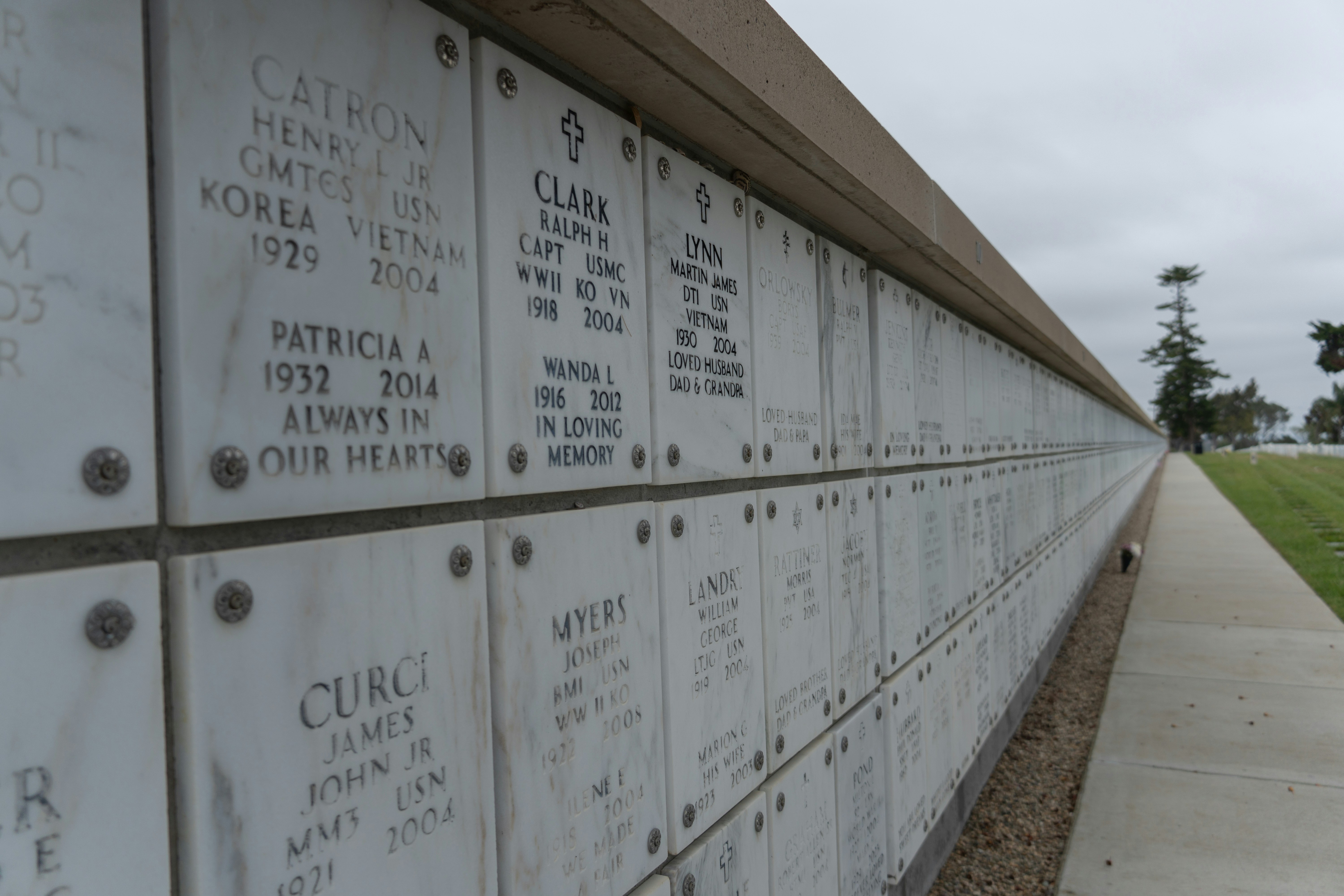 Line of Names: Memory Carved in Concrete
