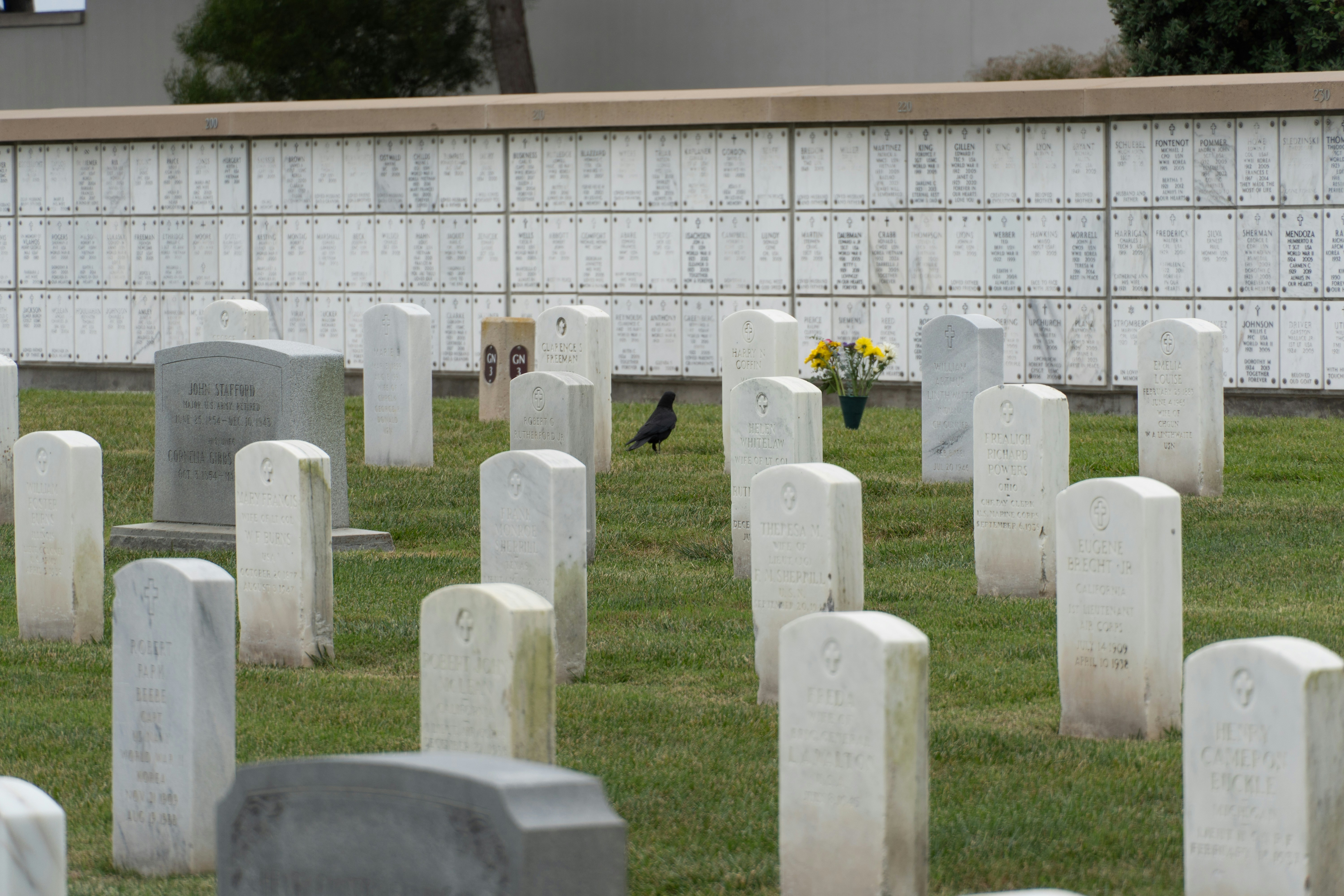 Silent Rows and a Black Bird: Memory Beyond the Headstones