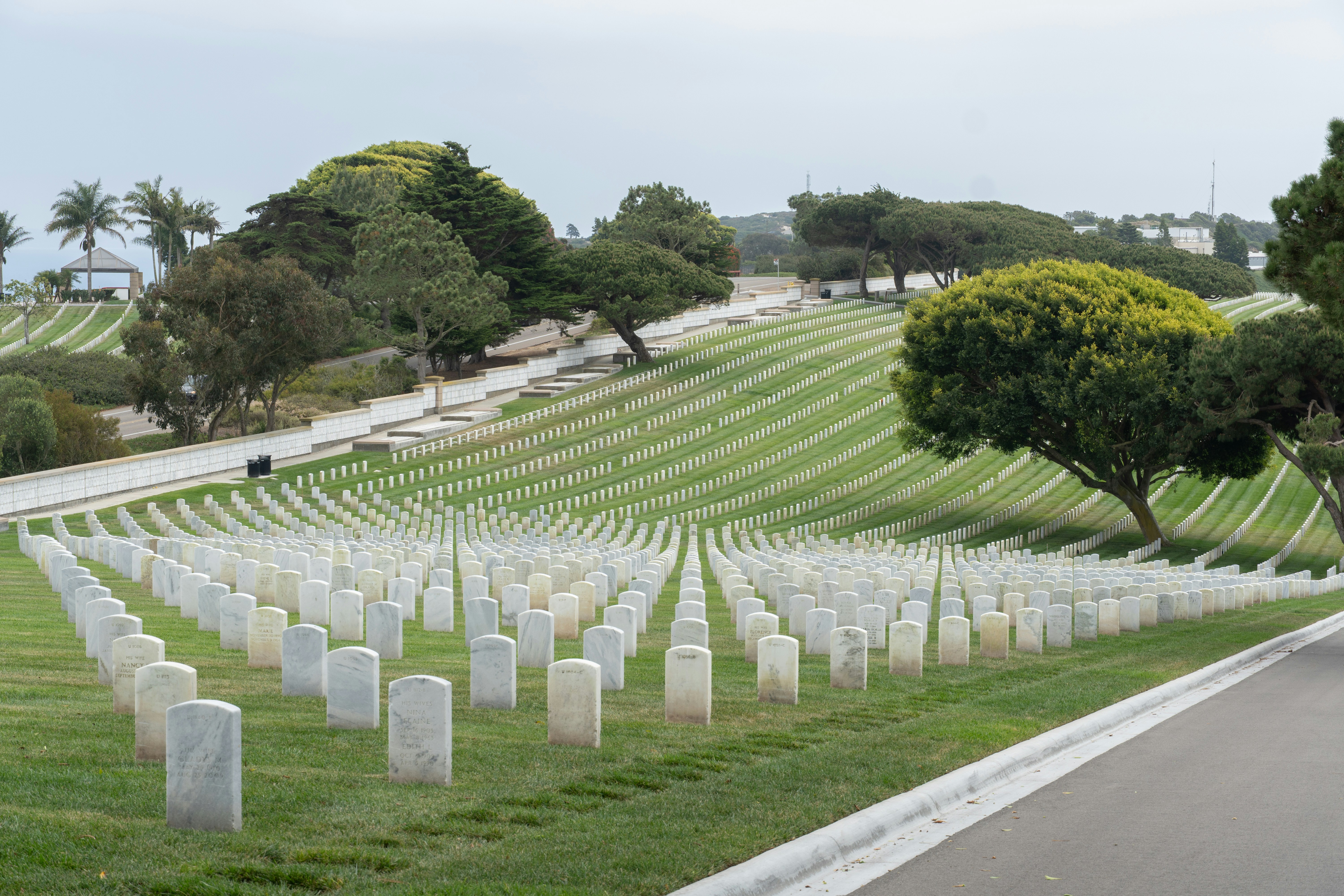 Rows of Quiet Stones on a Serene Slope