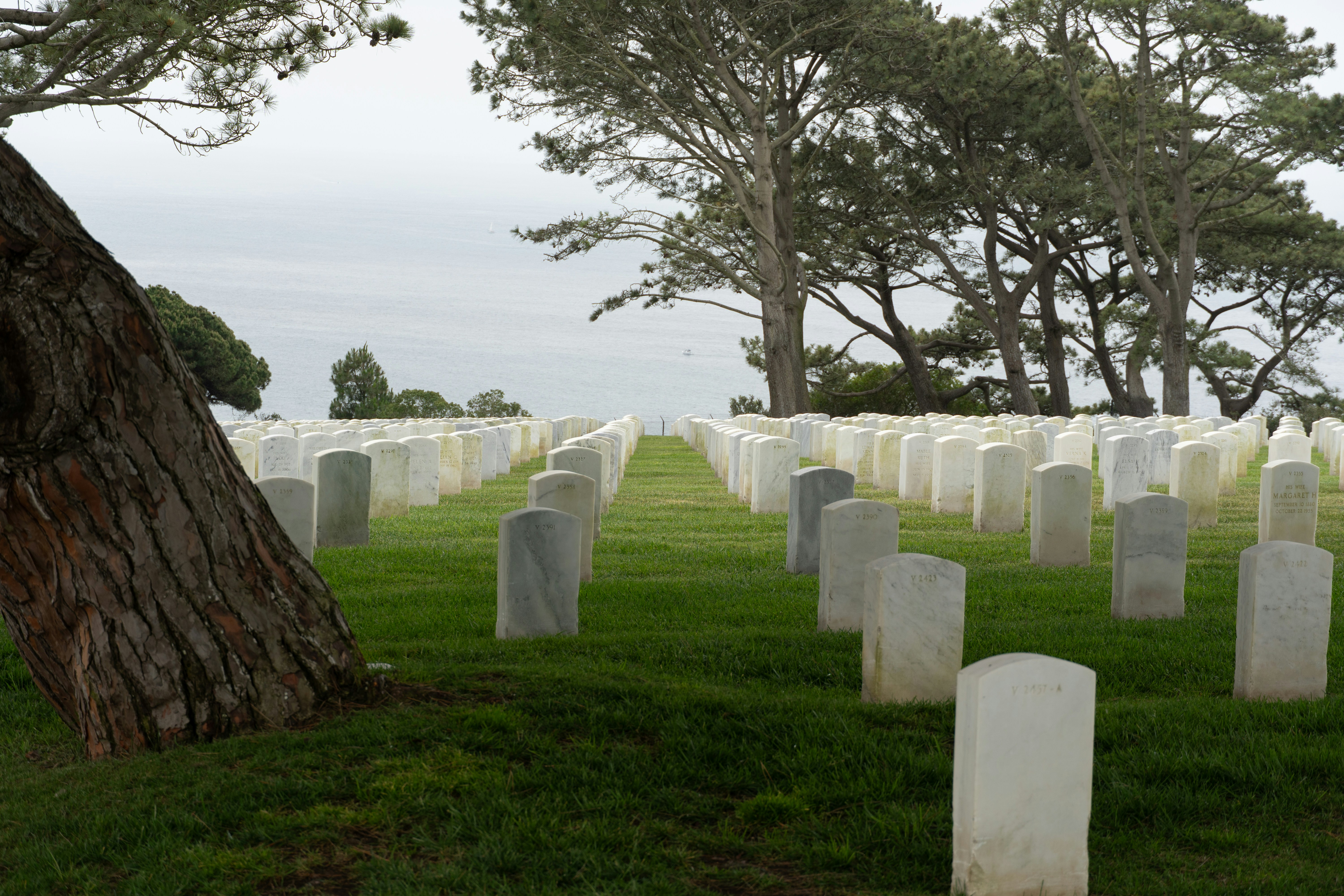 Rows of Quiet Markers: A Seaside Cemetery Corridor