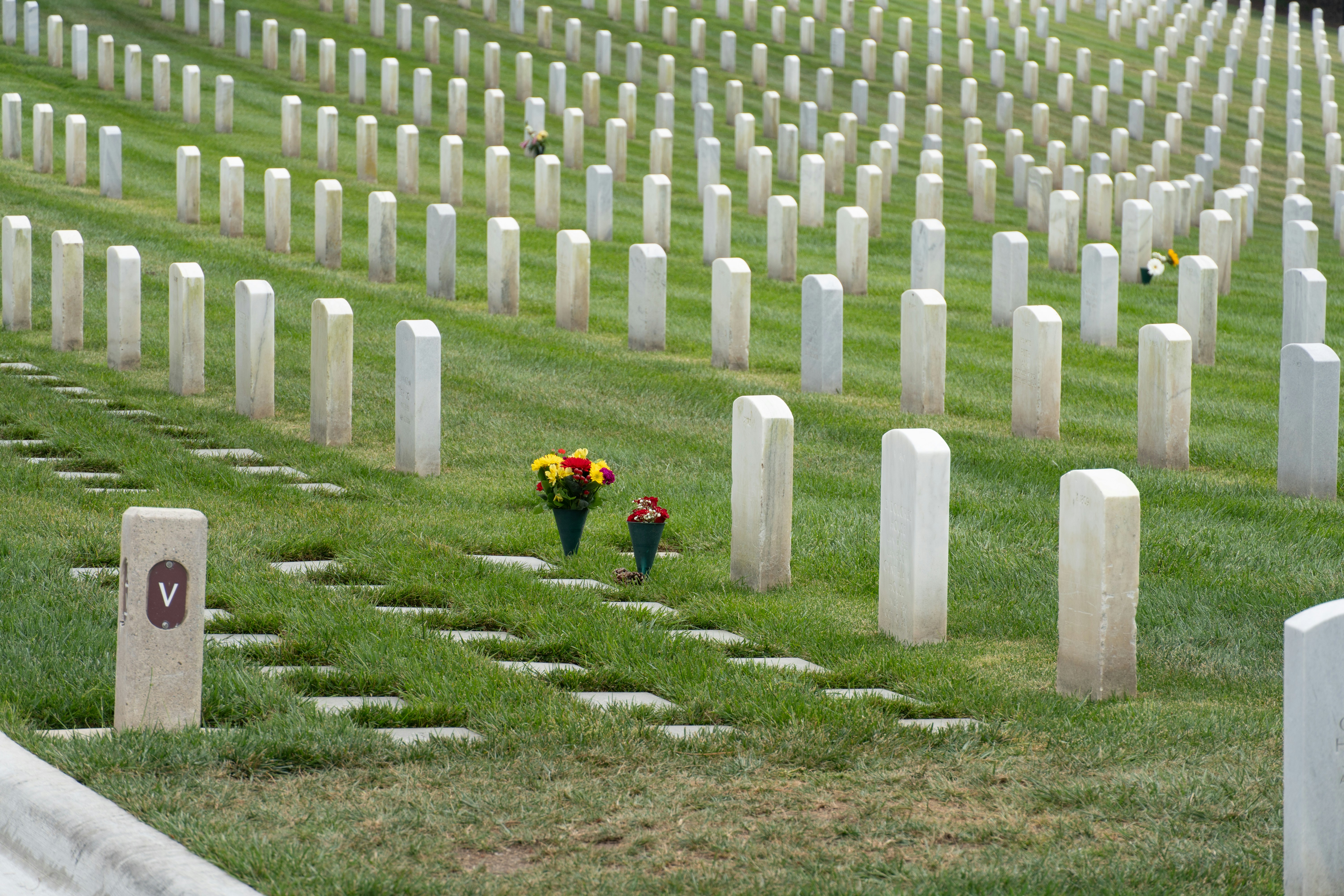 Votive Rows: A Quiet Field of Markers with Fresh Flowers