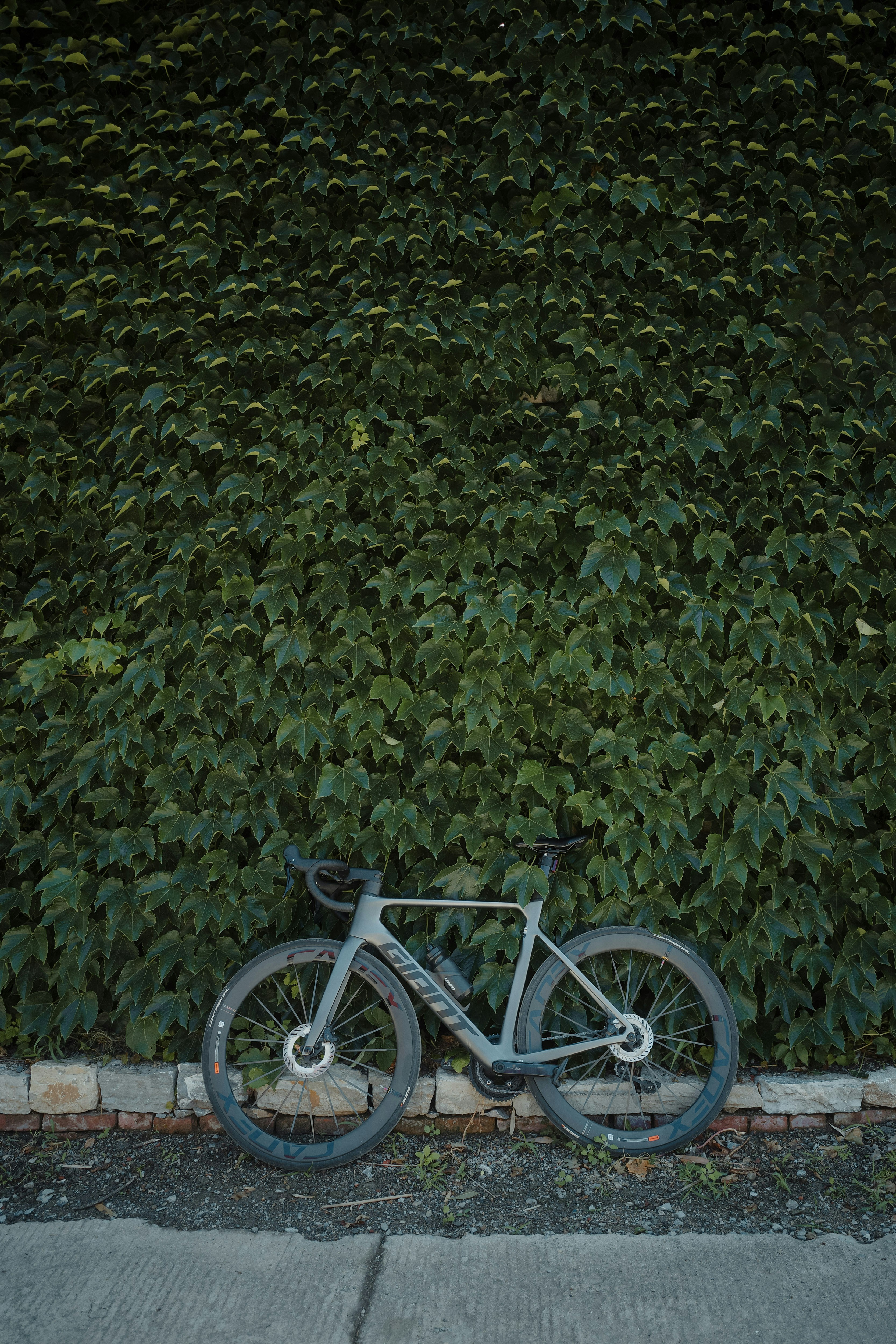 A Quiet Ride into Green