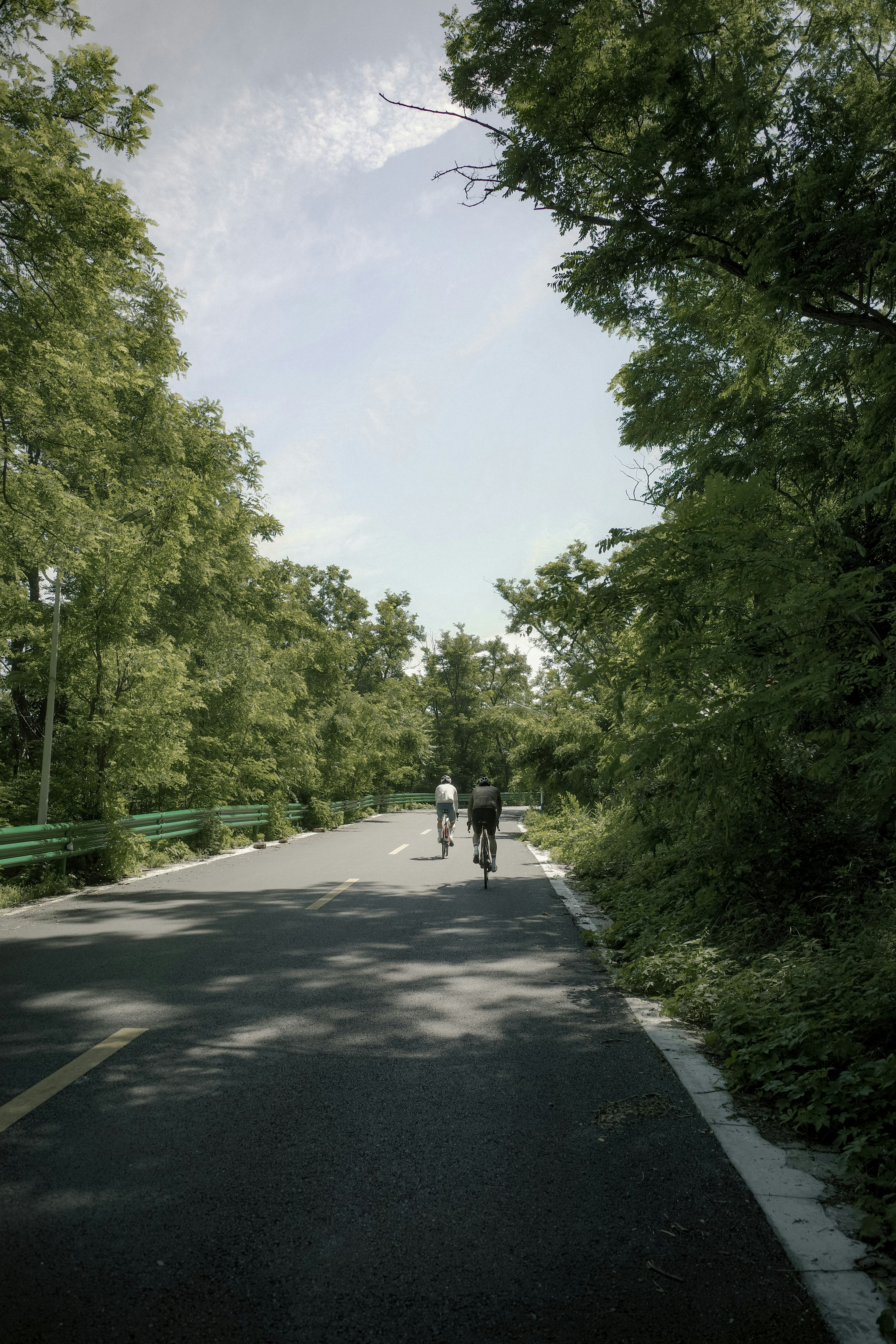 Forest Ride