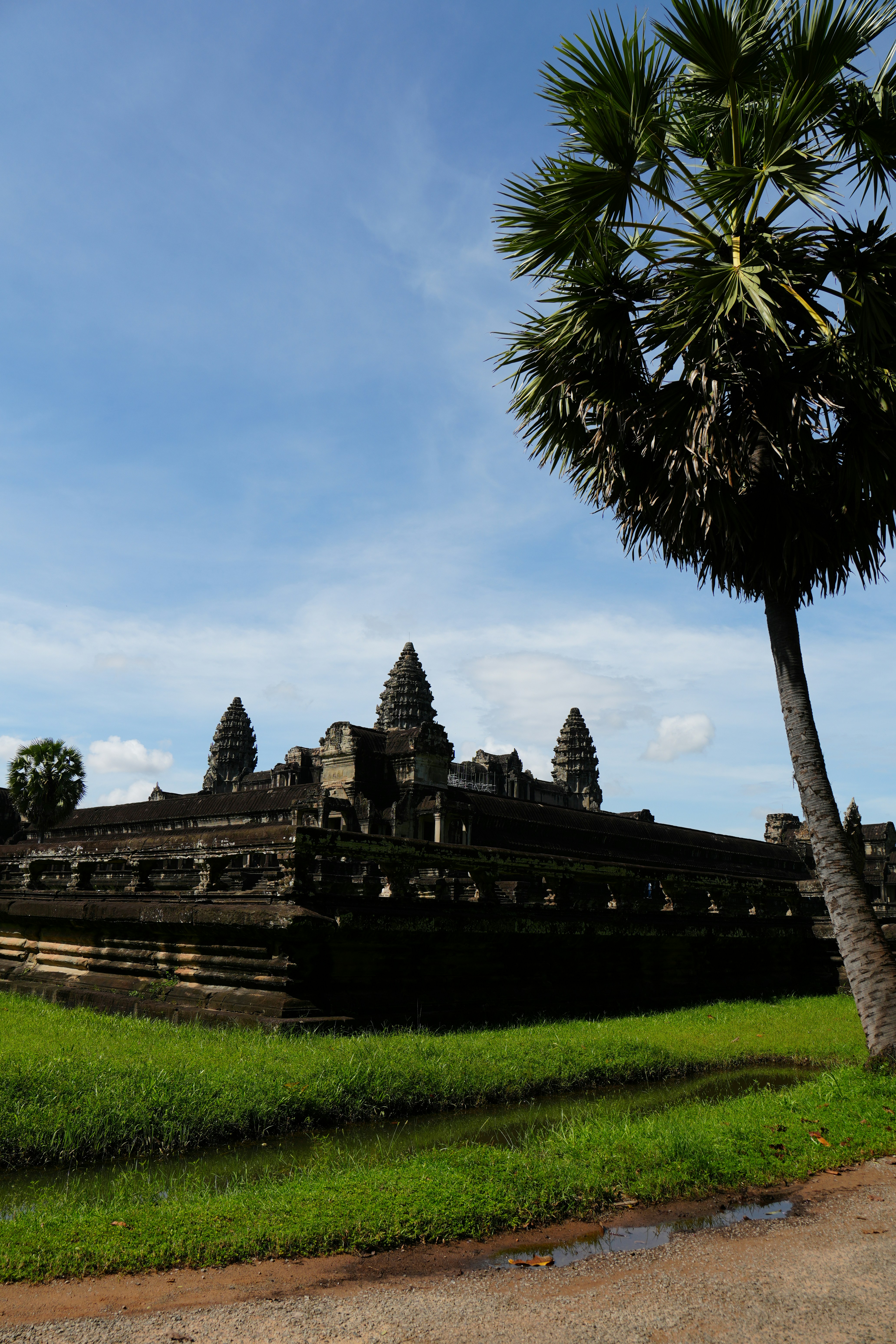 Temple Shadows by a Palmed Tree Under a Clear Sky