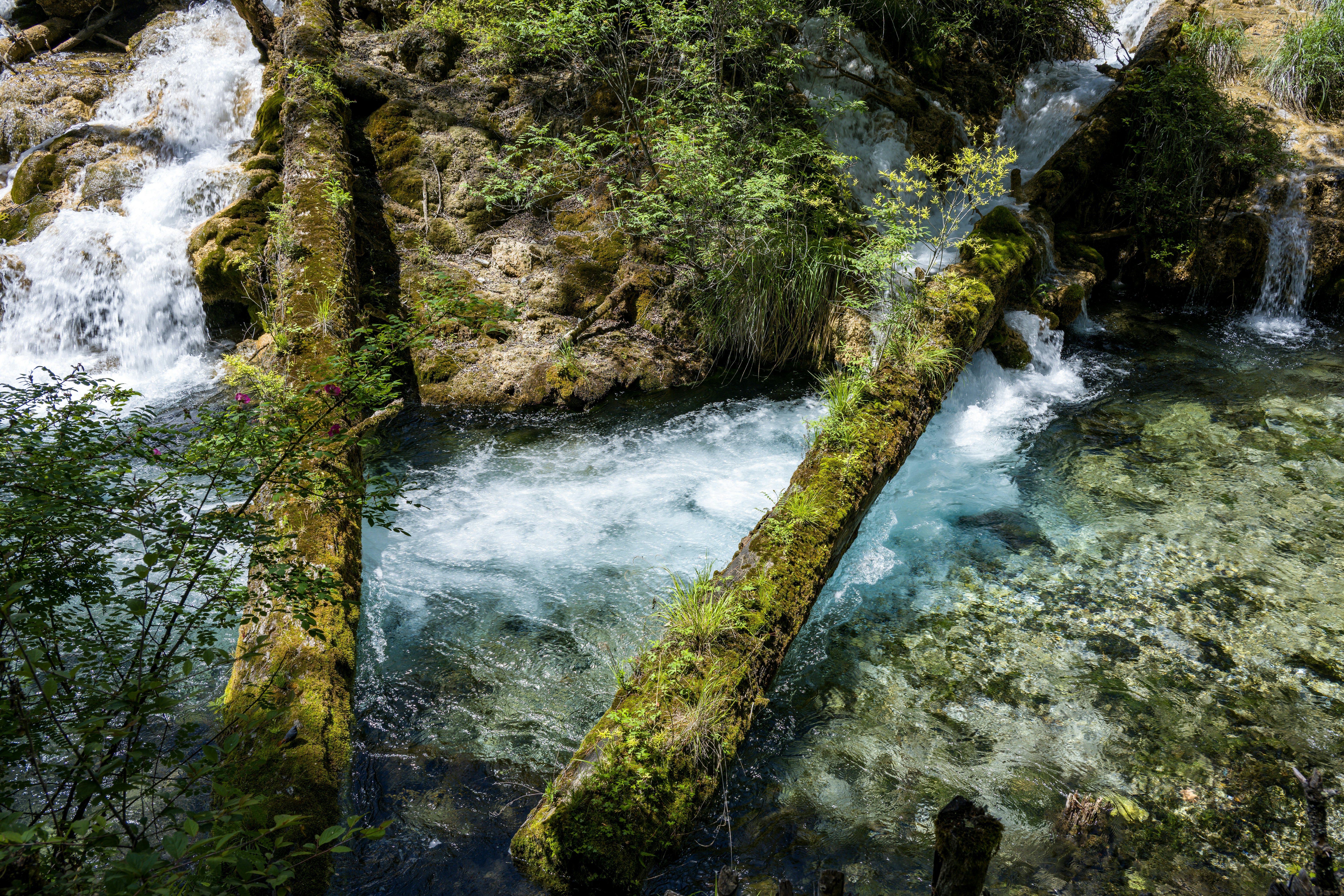 Clear blue water flows past mossy logs and waterfalls.