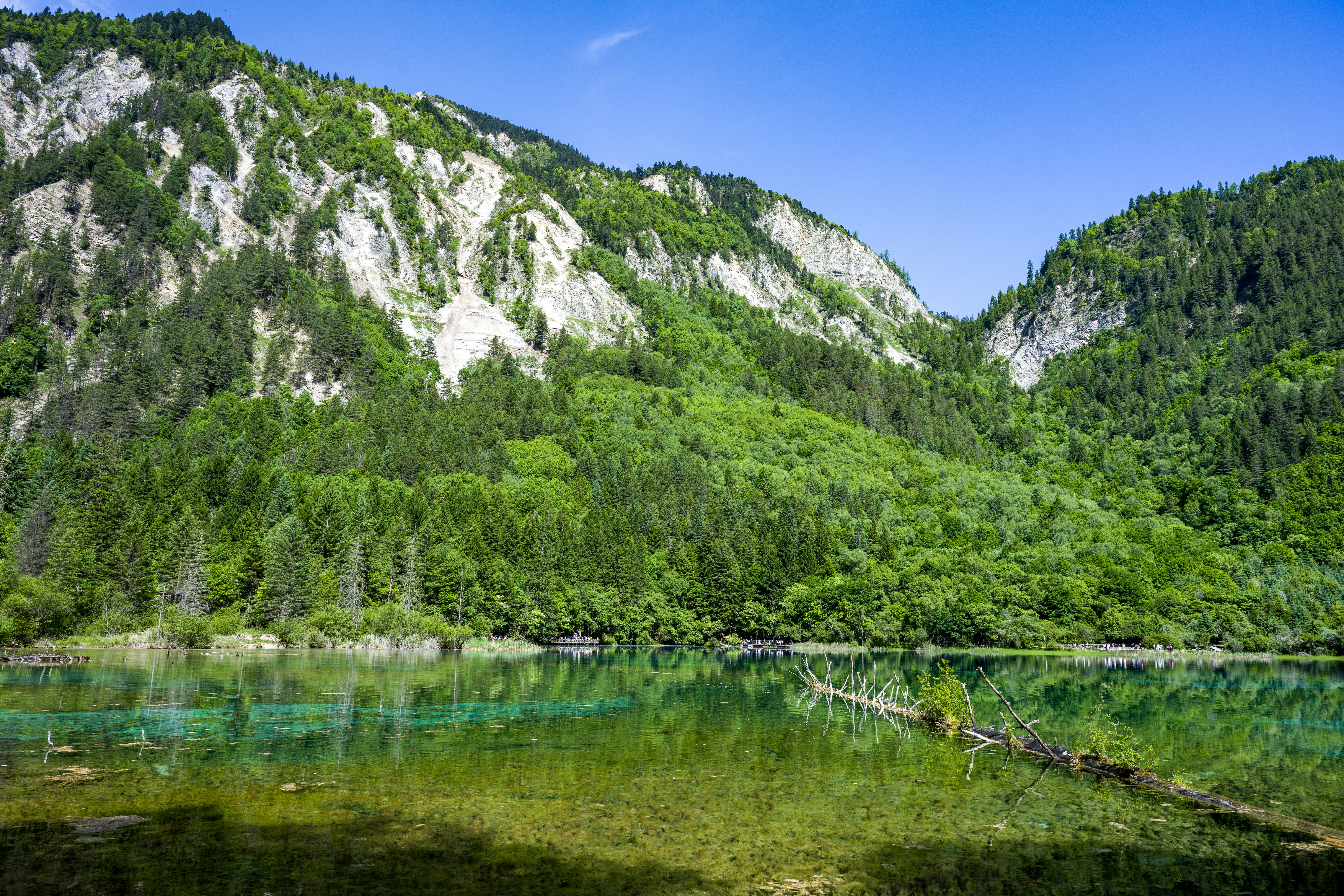 Emerald Basin Between Lichened Cliffs and Glassy Lake
