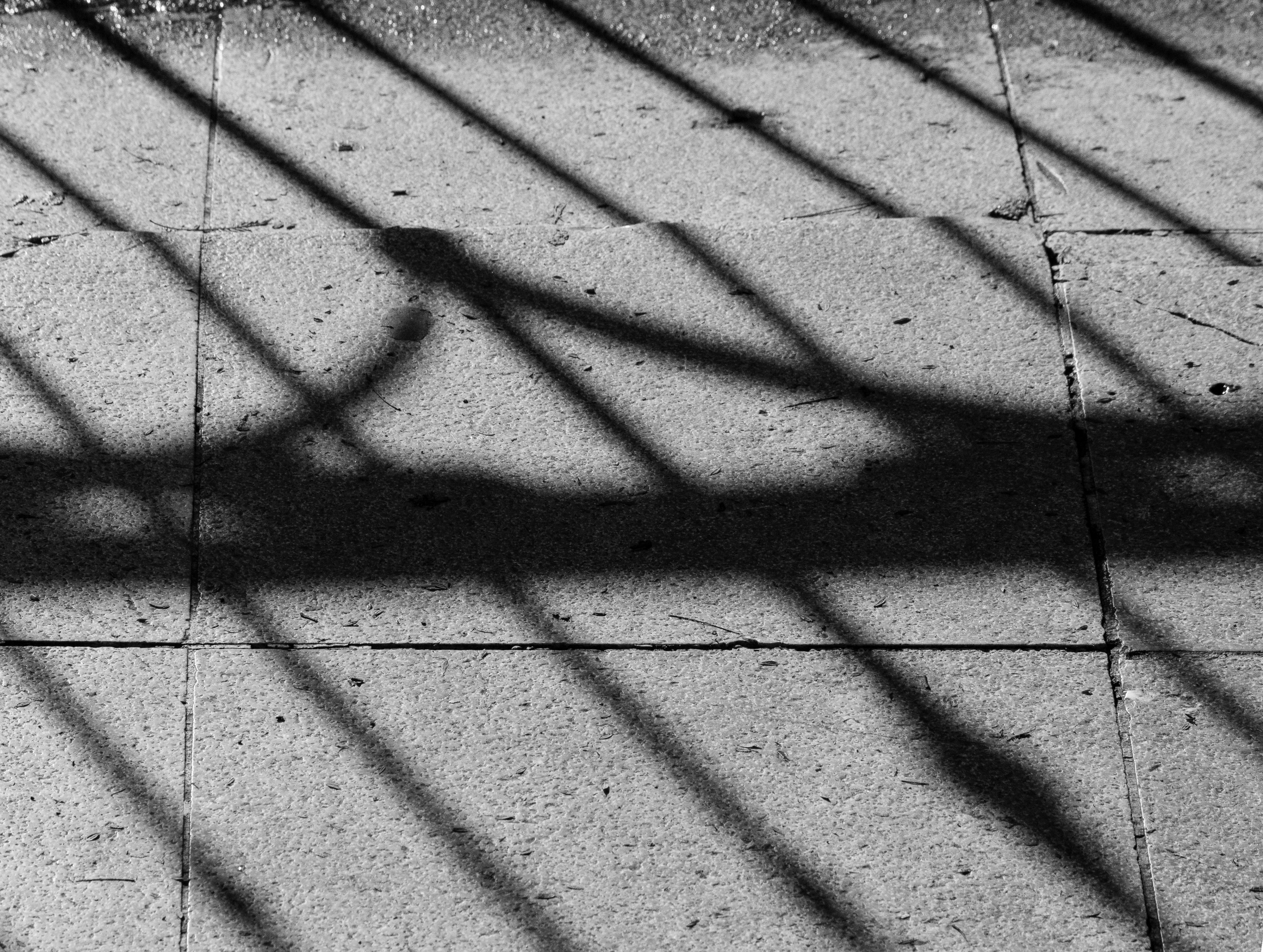 Diagonal Shadows on Concrete: An Abstract Play of Light and Lines