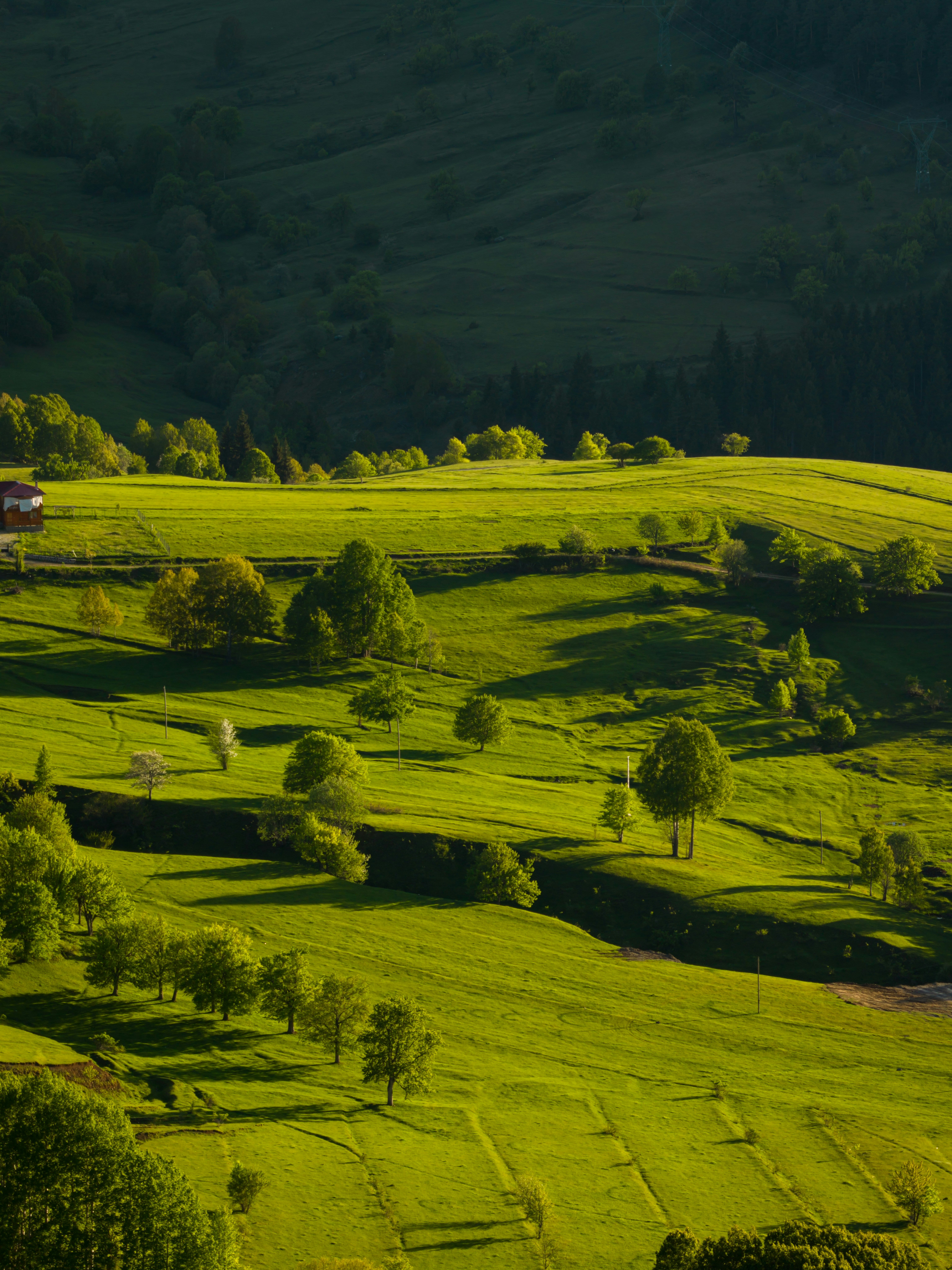 Lush green meadows and trees on sunlit rolling hills.