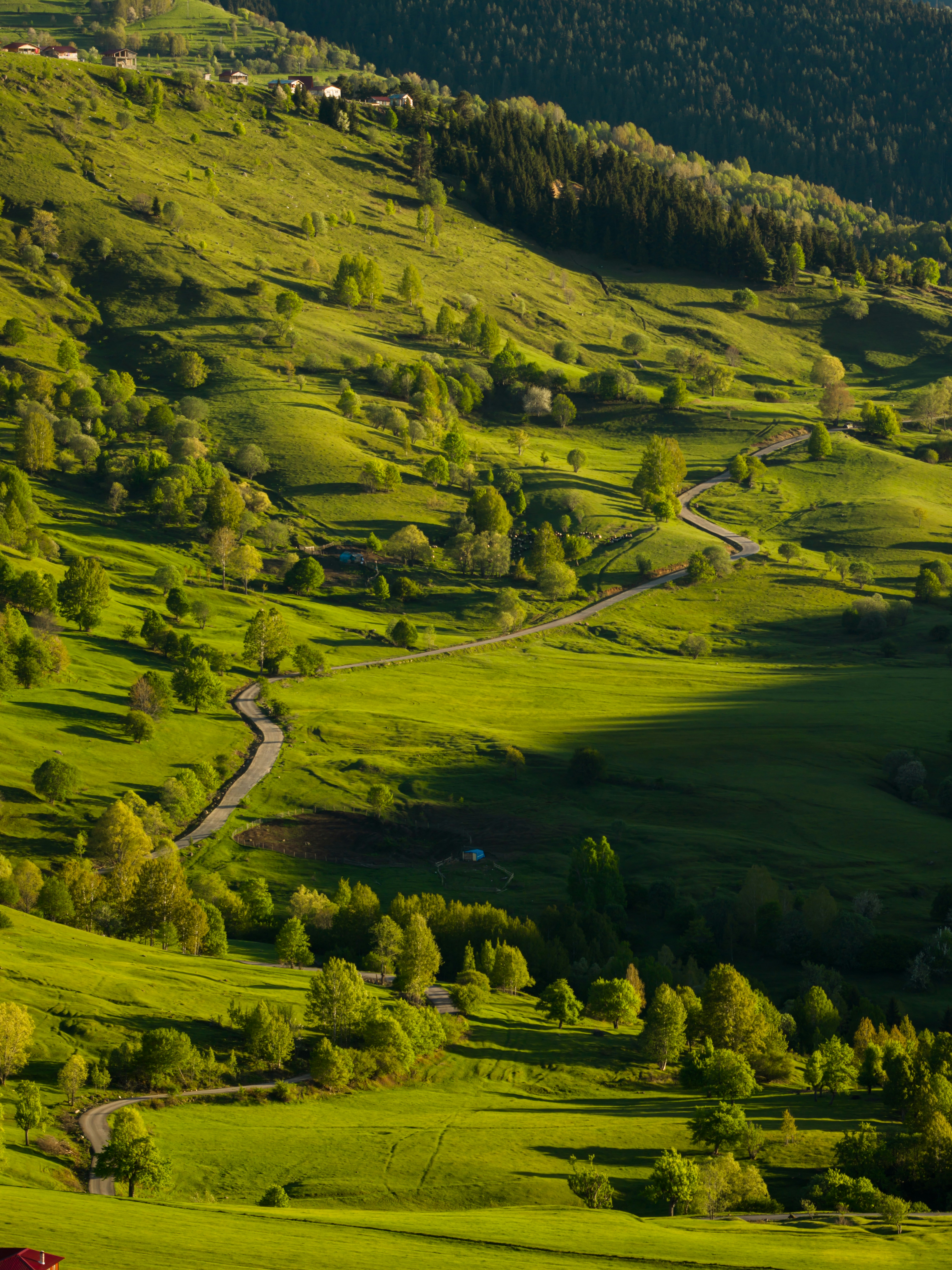 A winding road through lush green hills under warm sunlight.