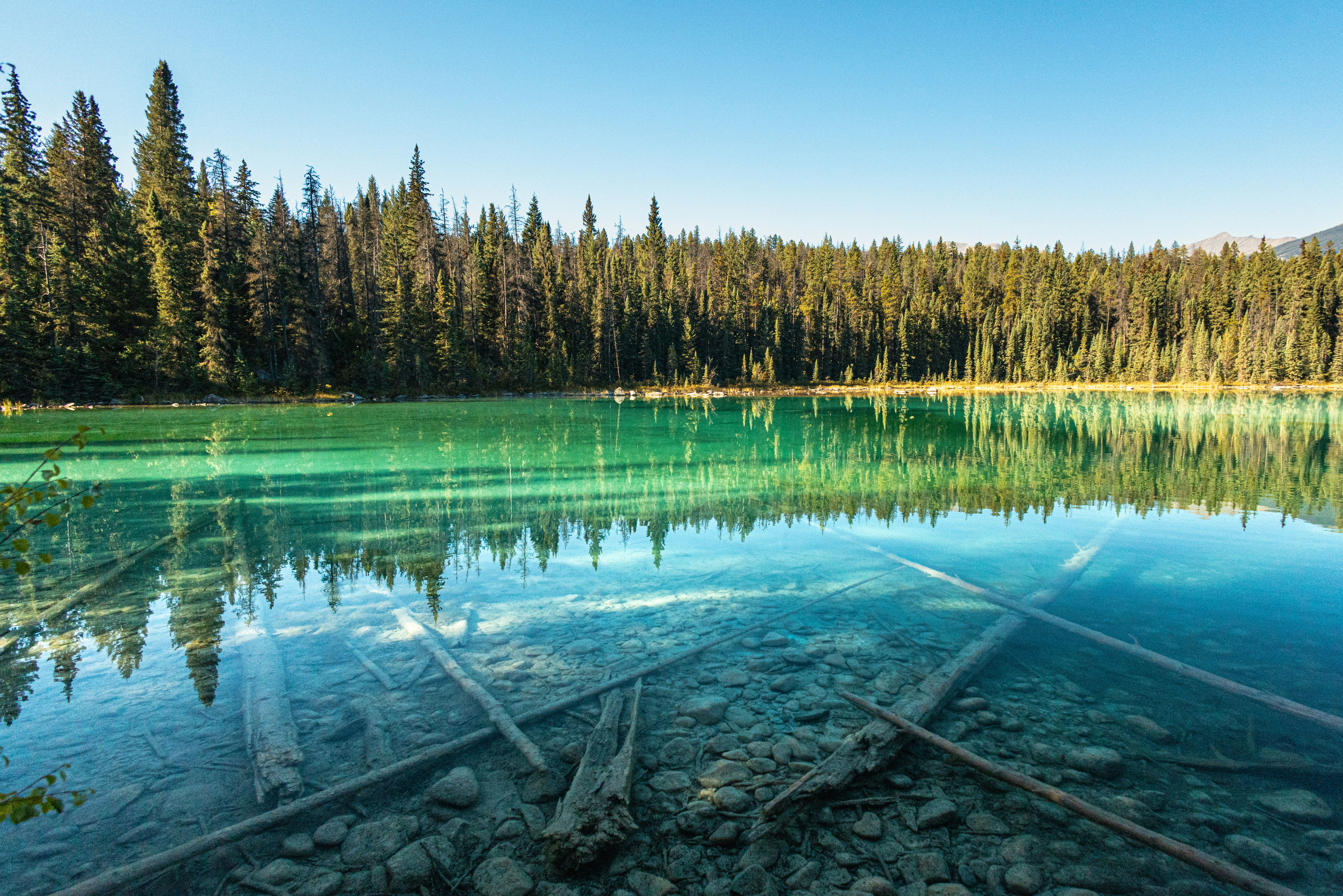Emerald Mirror: Lakefront with Pine Boundary