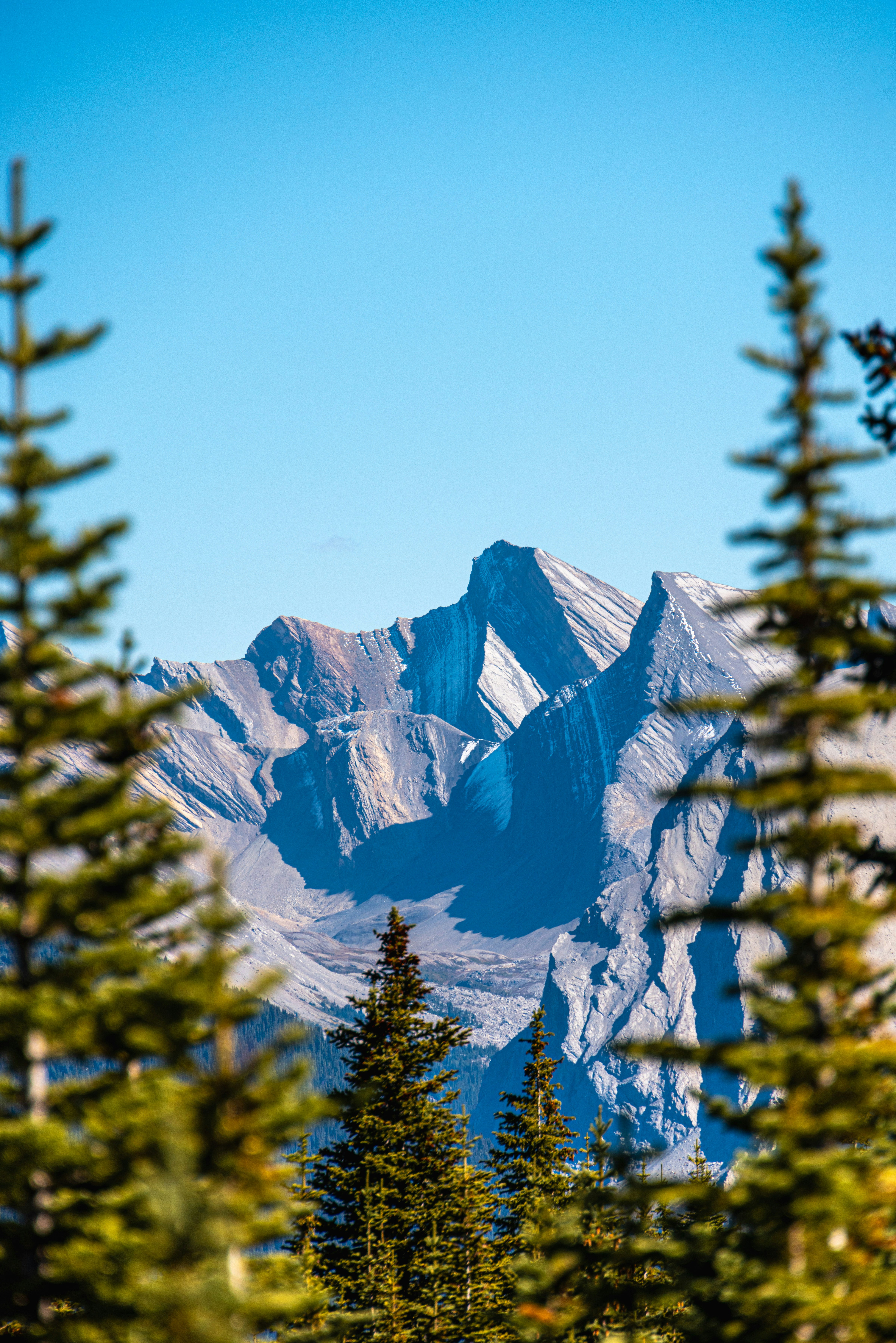 Snowbound Peaks Framed by Evergreen Gate