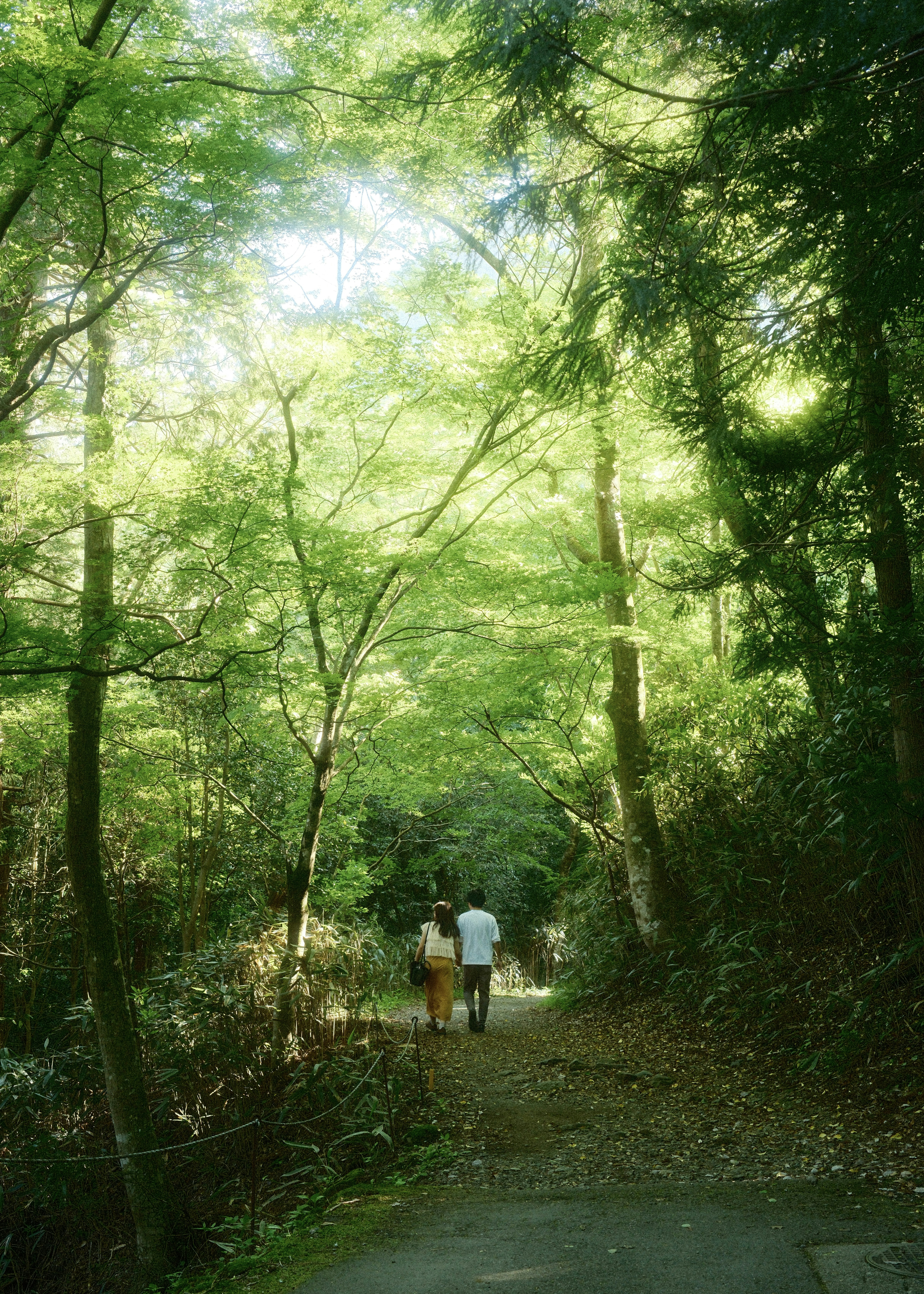 Couple strolling on a forest path with dappled sunlight.