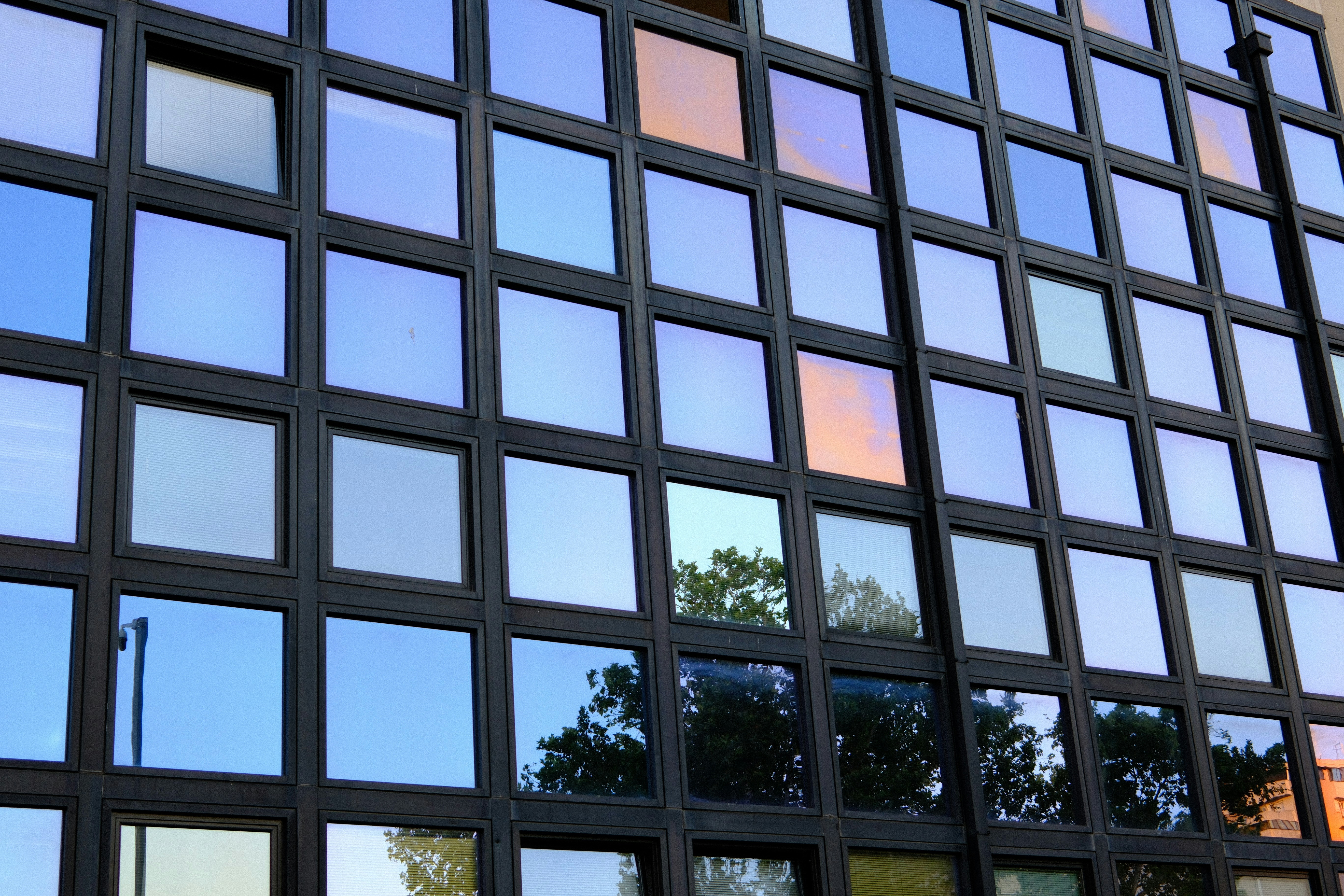 Glass Grid Reflections: A City’s Quiet Facade and Tree Silhouettes