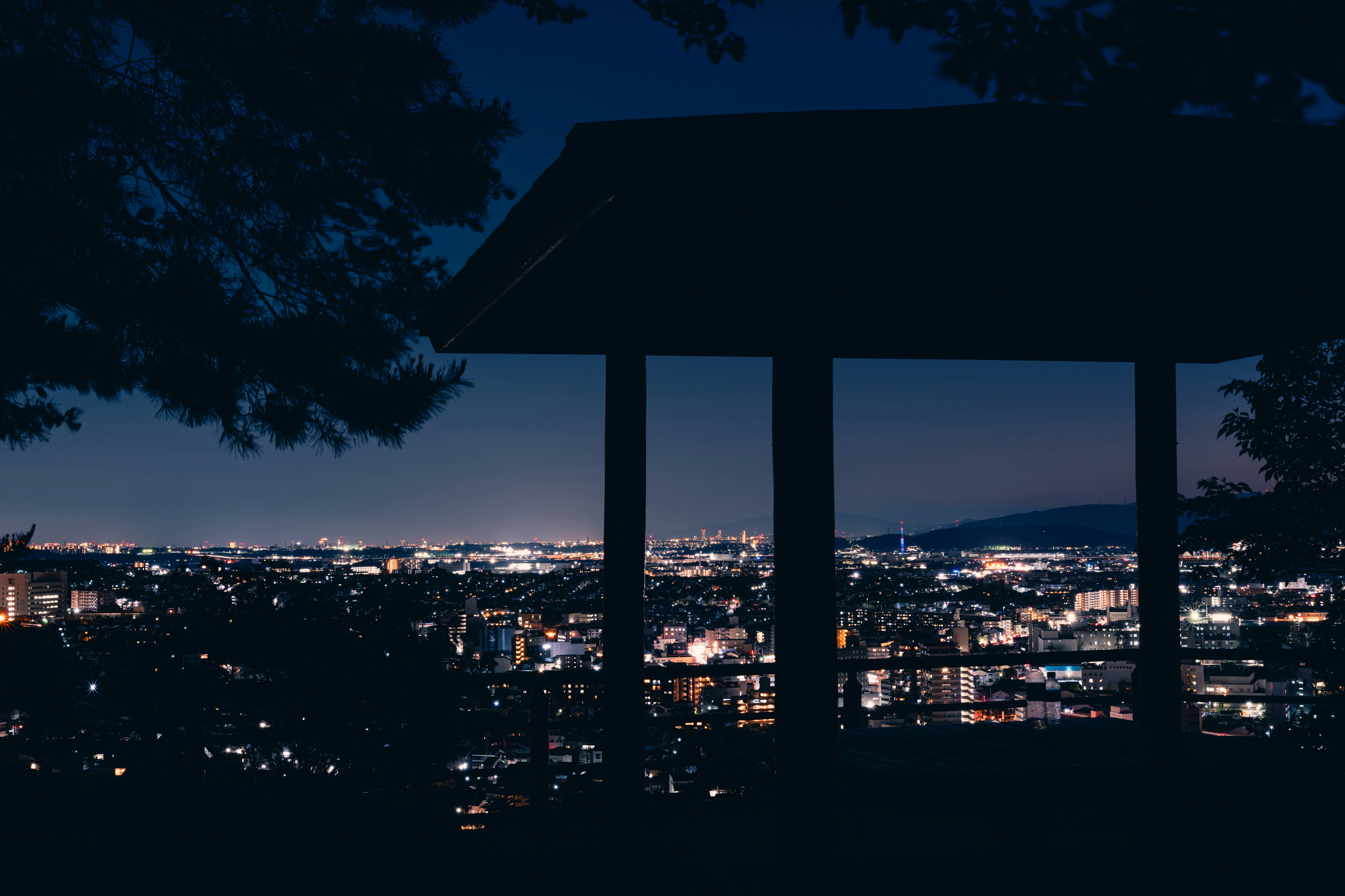 Night View from the Gate: Neon Dunes through the Pavilion Silhouettes