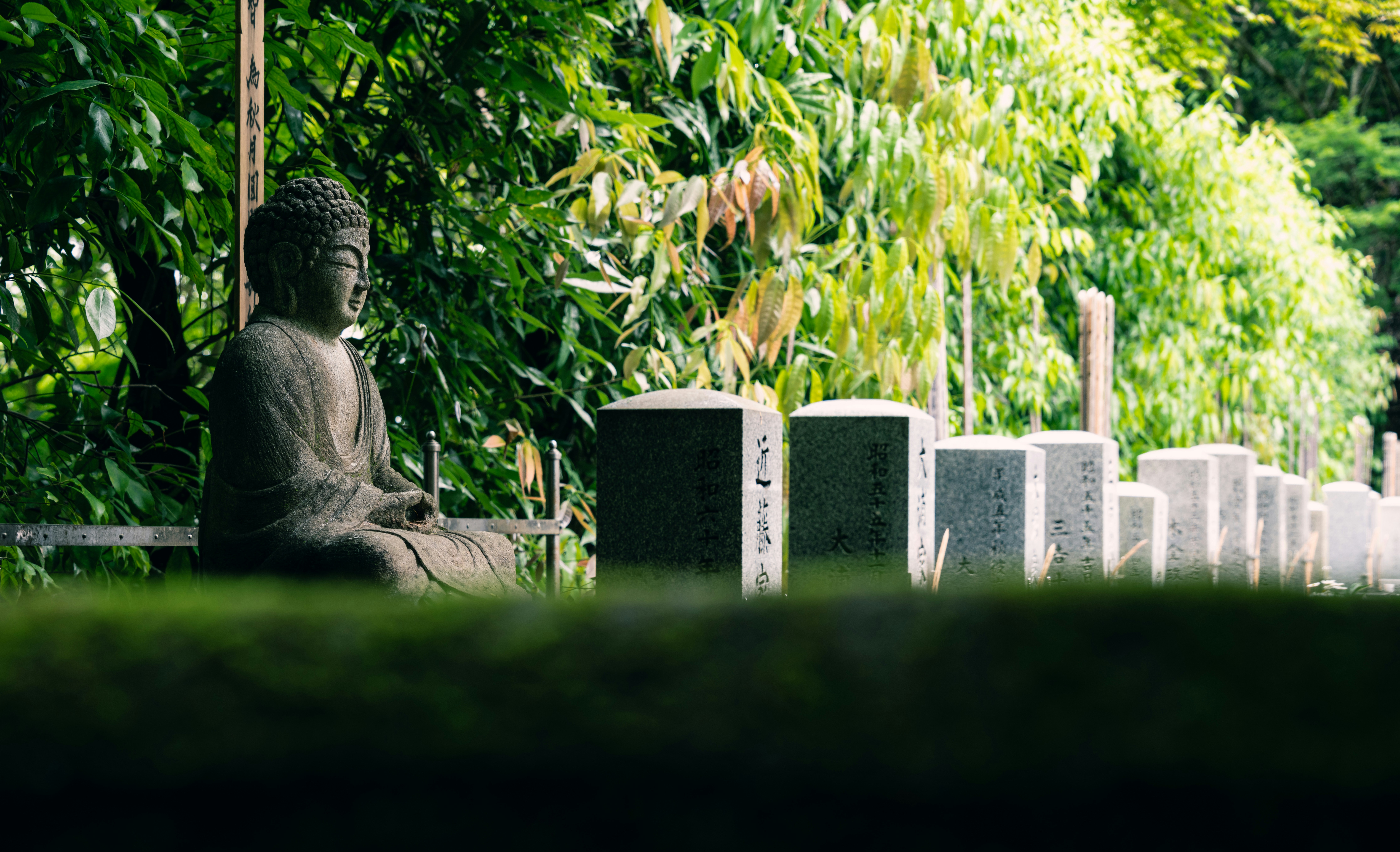 Silent Buddha Among Green Stones