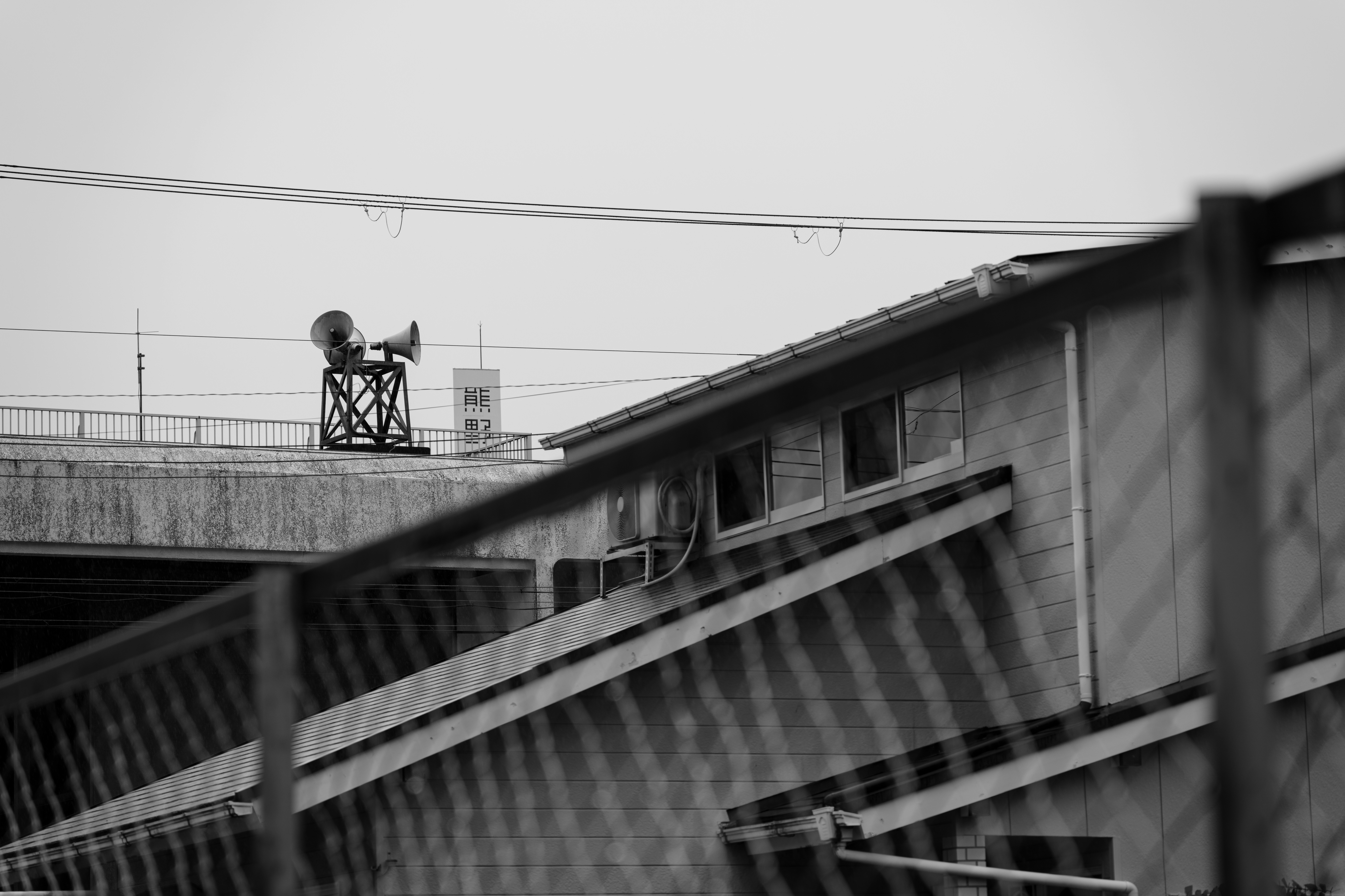 Industrial Lattice: A Quiet Moment Above the Tracks