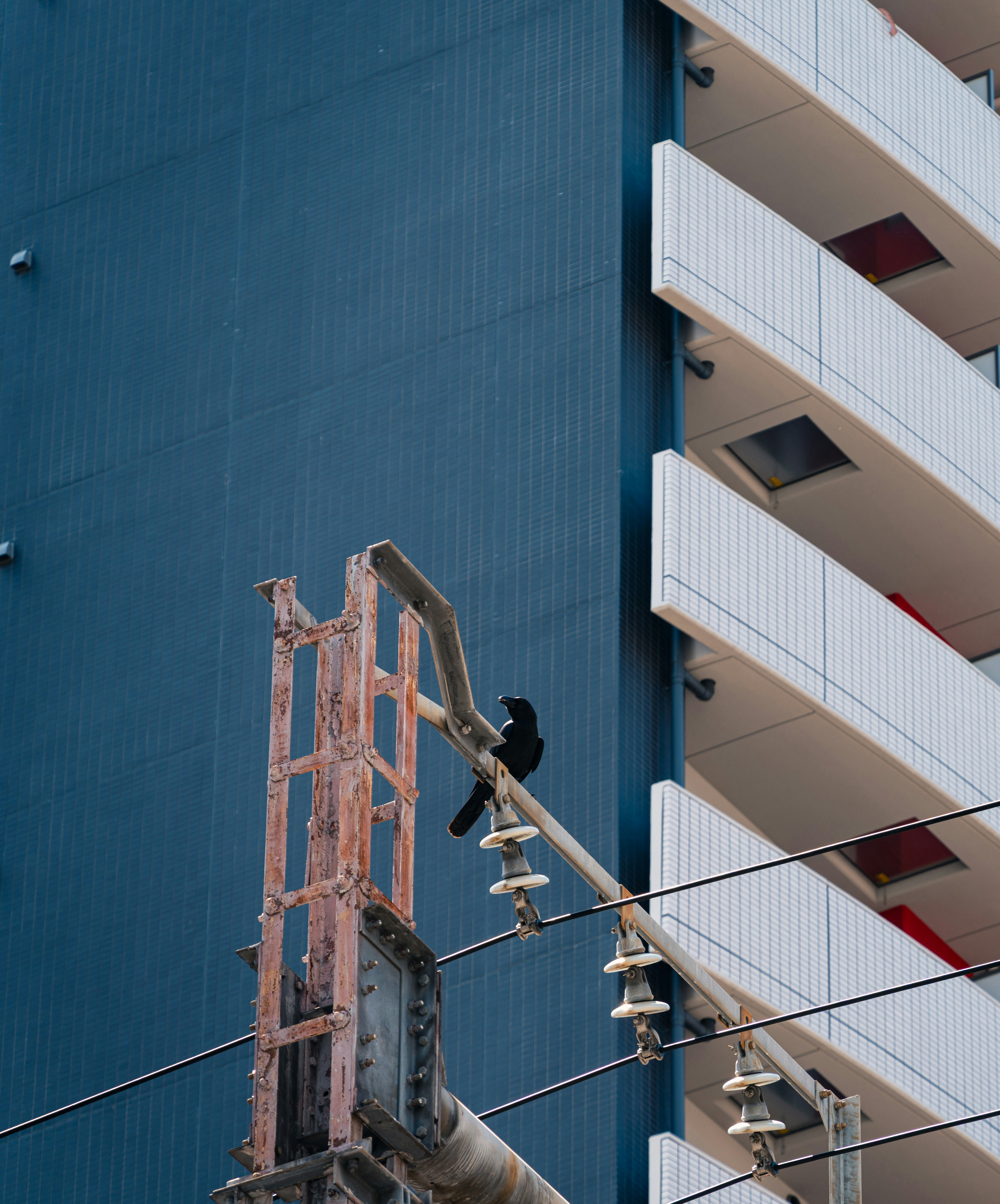 Bird on a Rusted Crane Beneath a Blue Facade