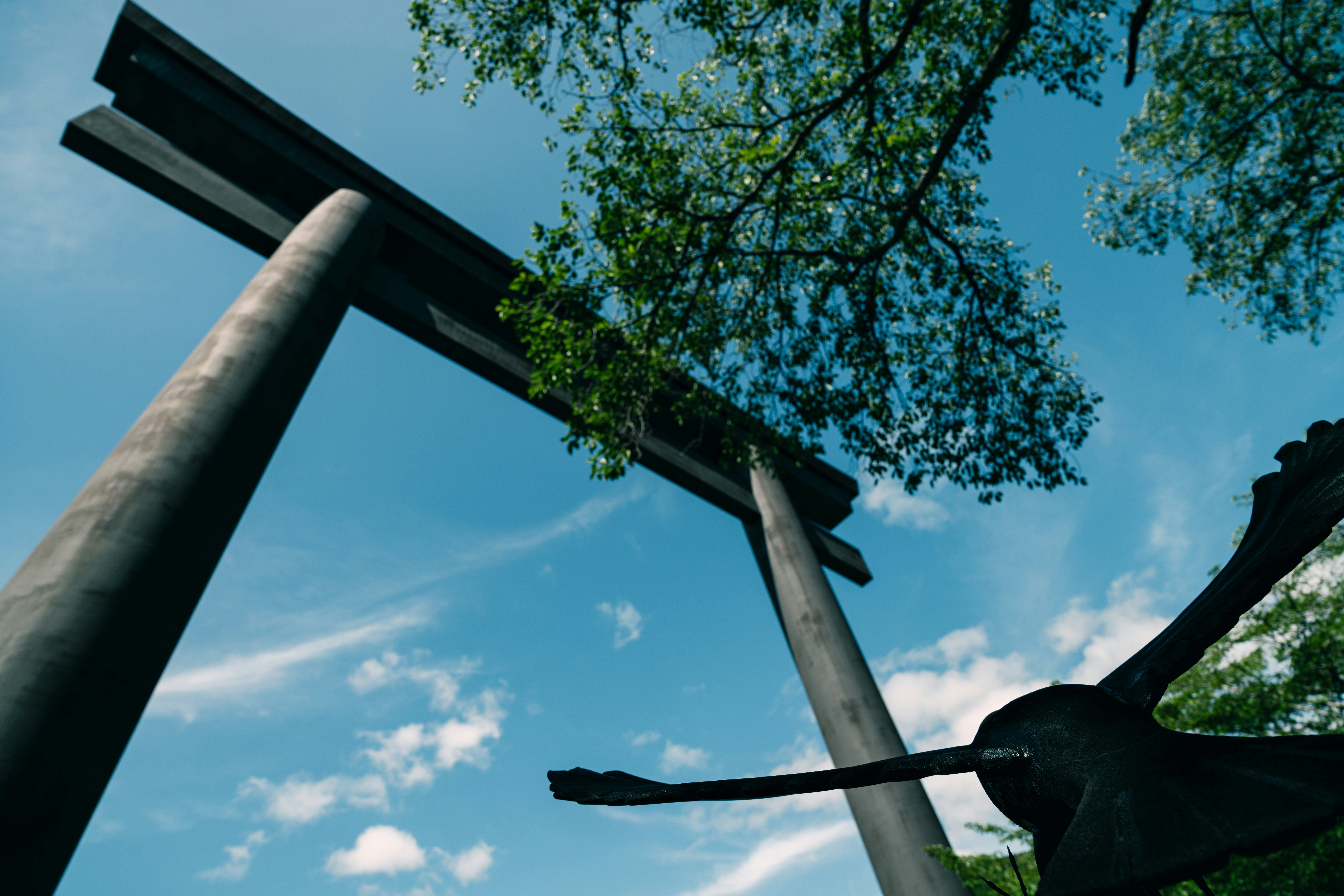 Rising Torii and Outstretched Arm: A Low-Angle Shrine Scene