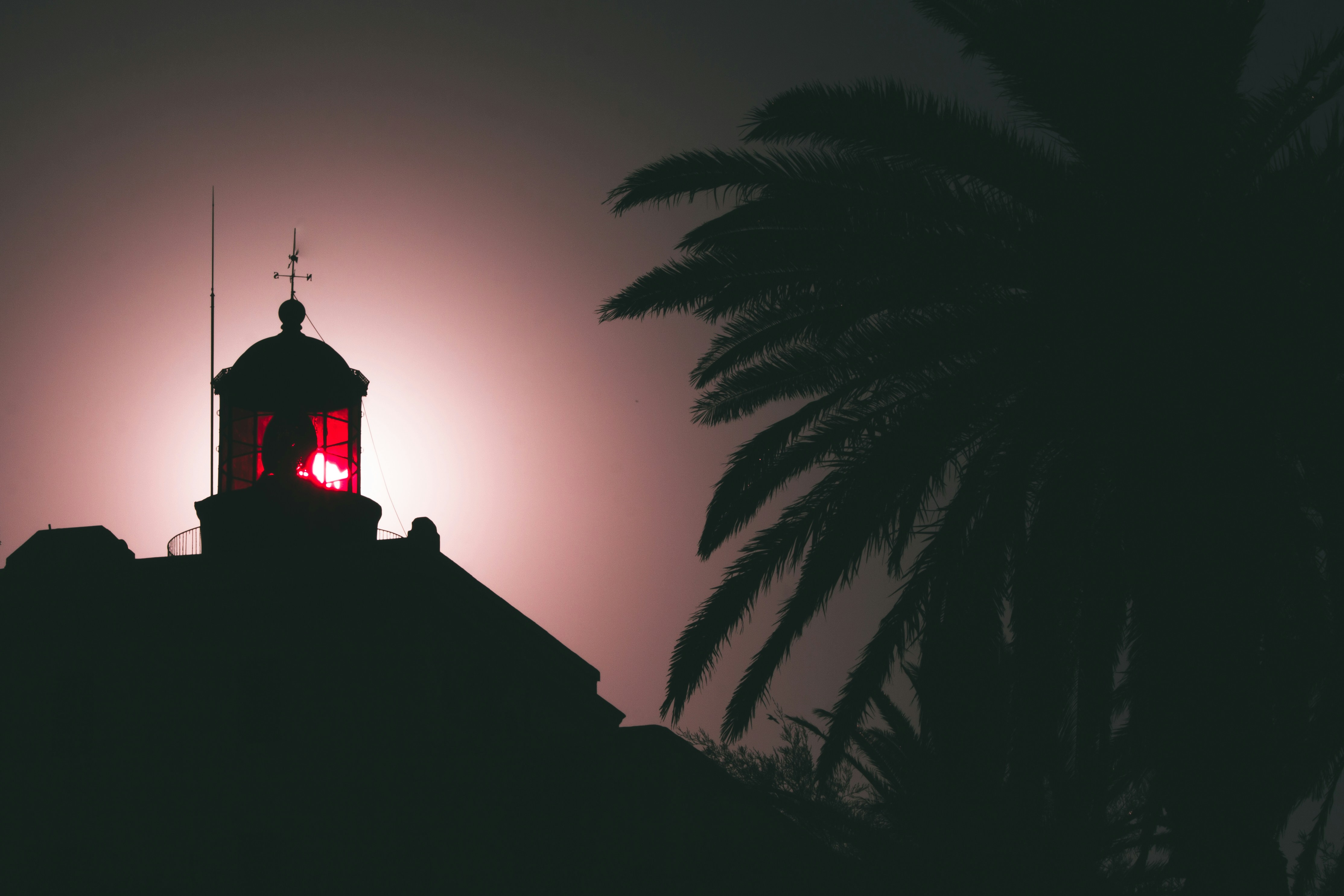 Lighthouse Beacon Against a Silhouetted Palm Night