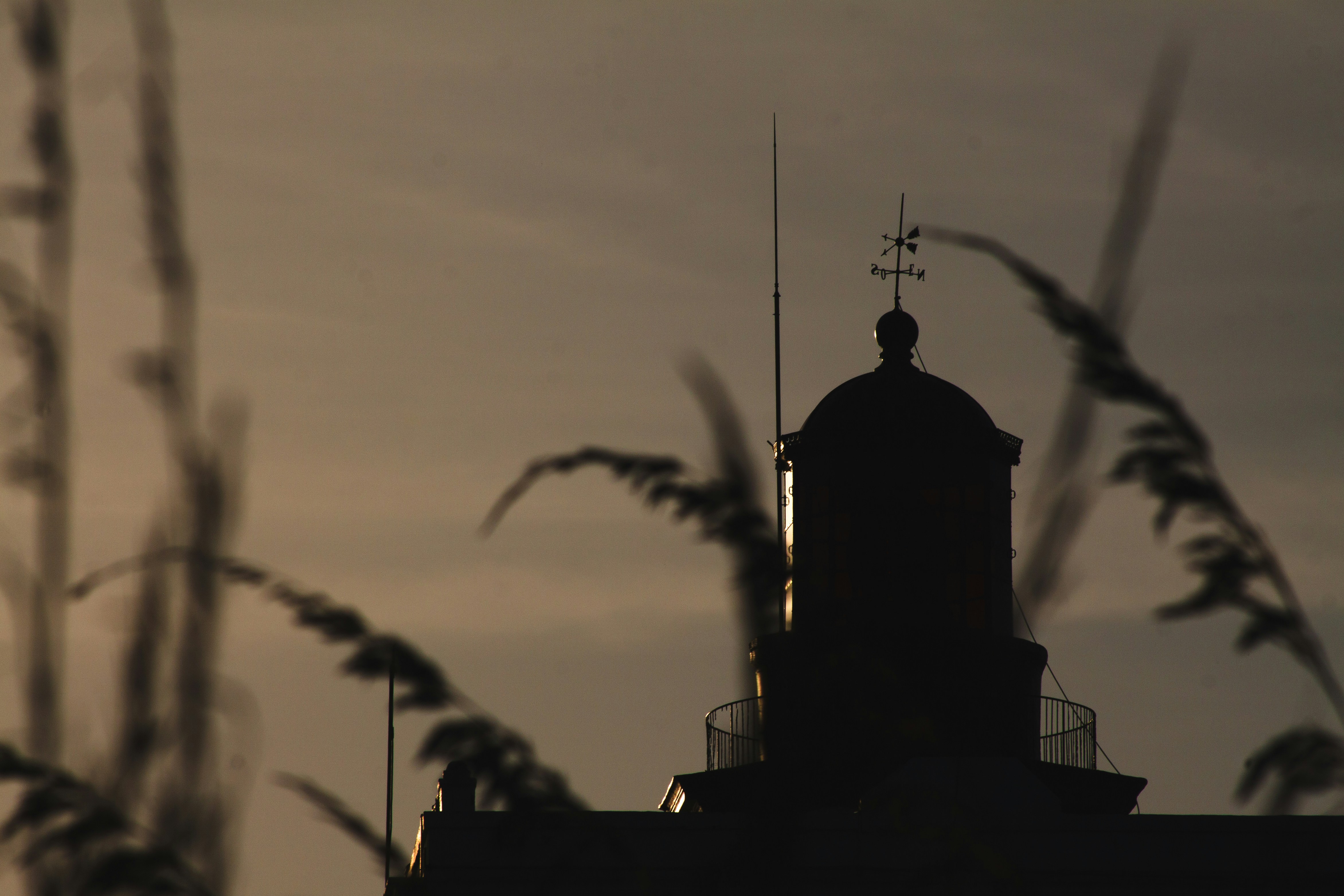 Lighthouse silhouette at sunset framed by tall grasses.