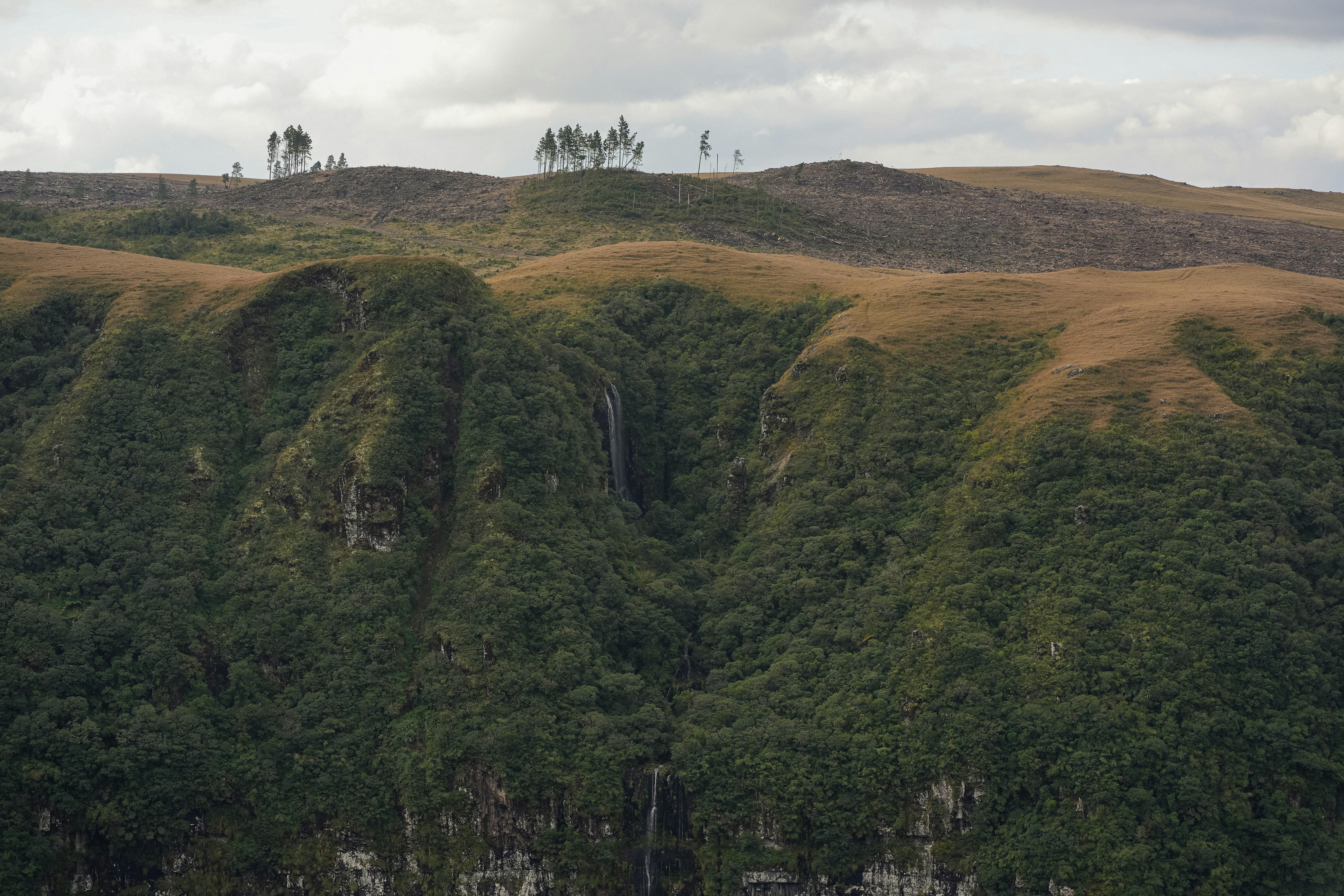 Green Cliff Veil: A Tiny Waterfall Slices the Highlands