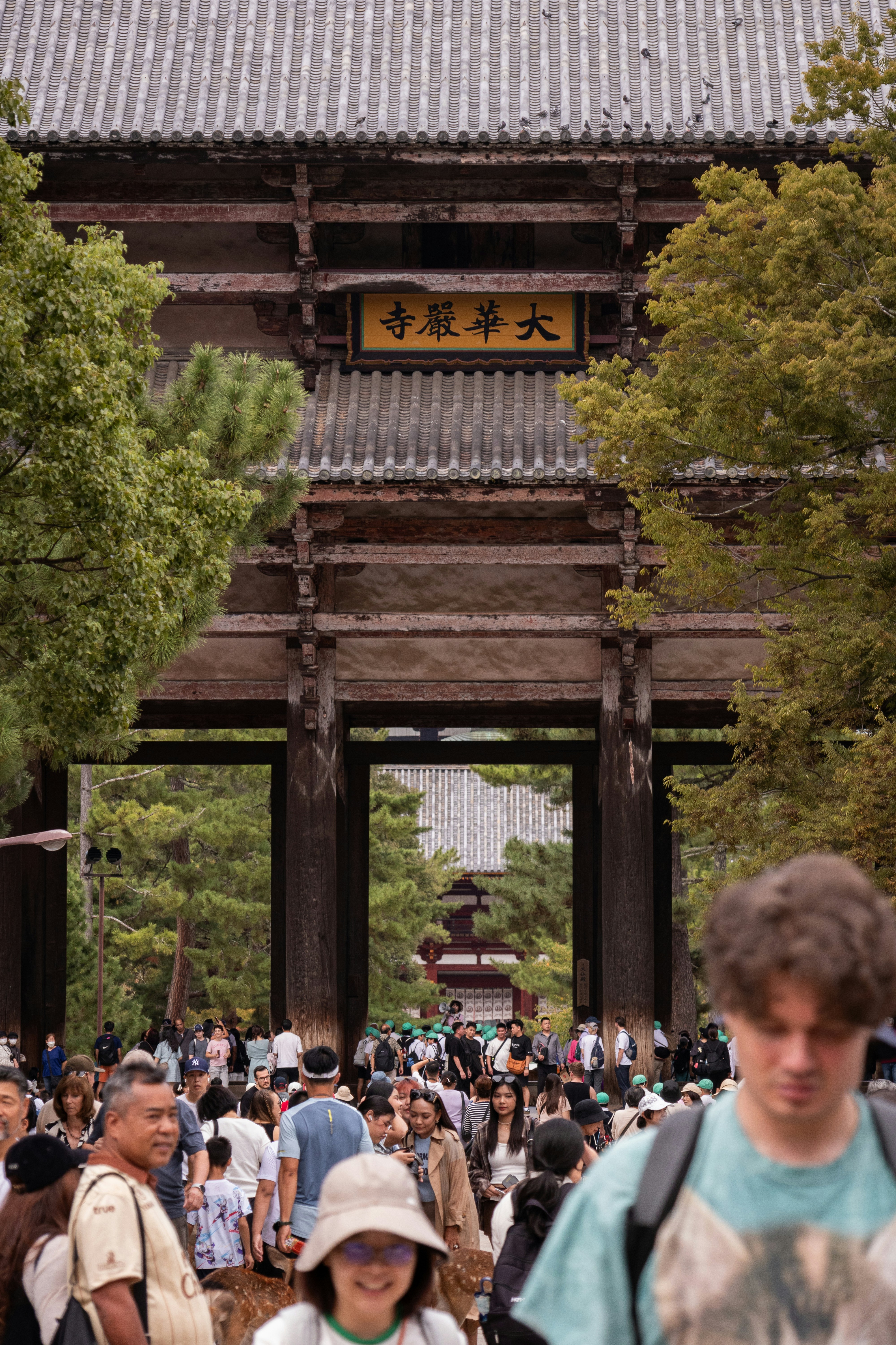 Gate of Echoes: A Timeworn Entrance Framed by Visitor Pulse