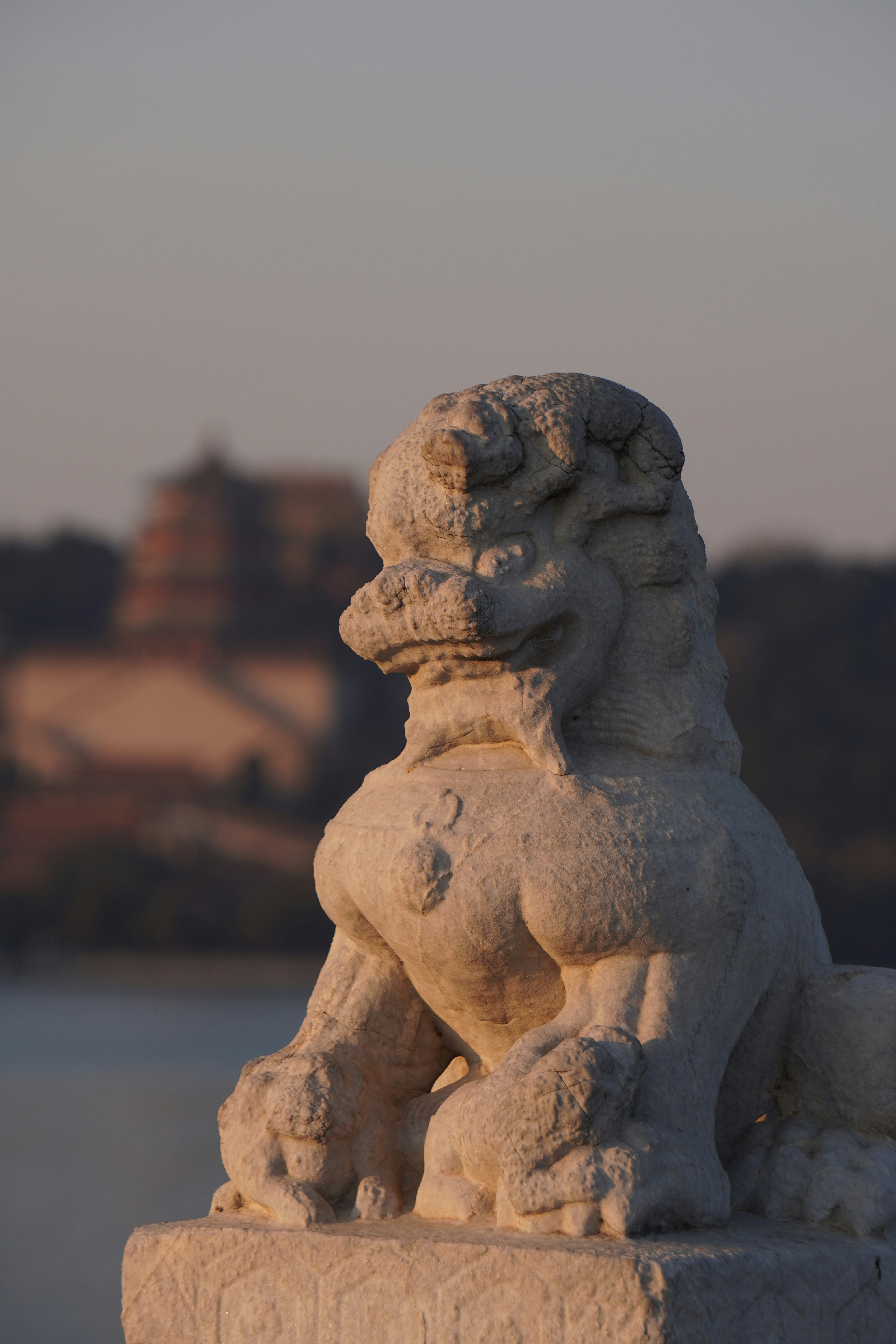 Stone Guardian by the Water: A Shaded Dragon in Evening Light