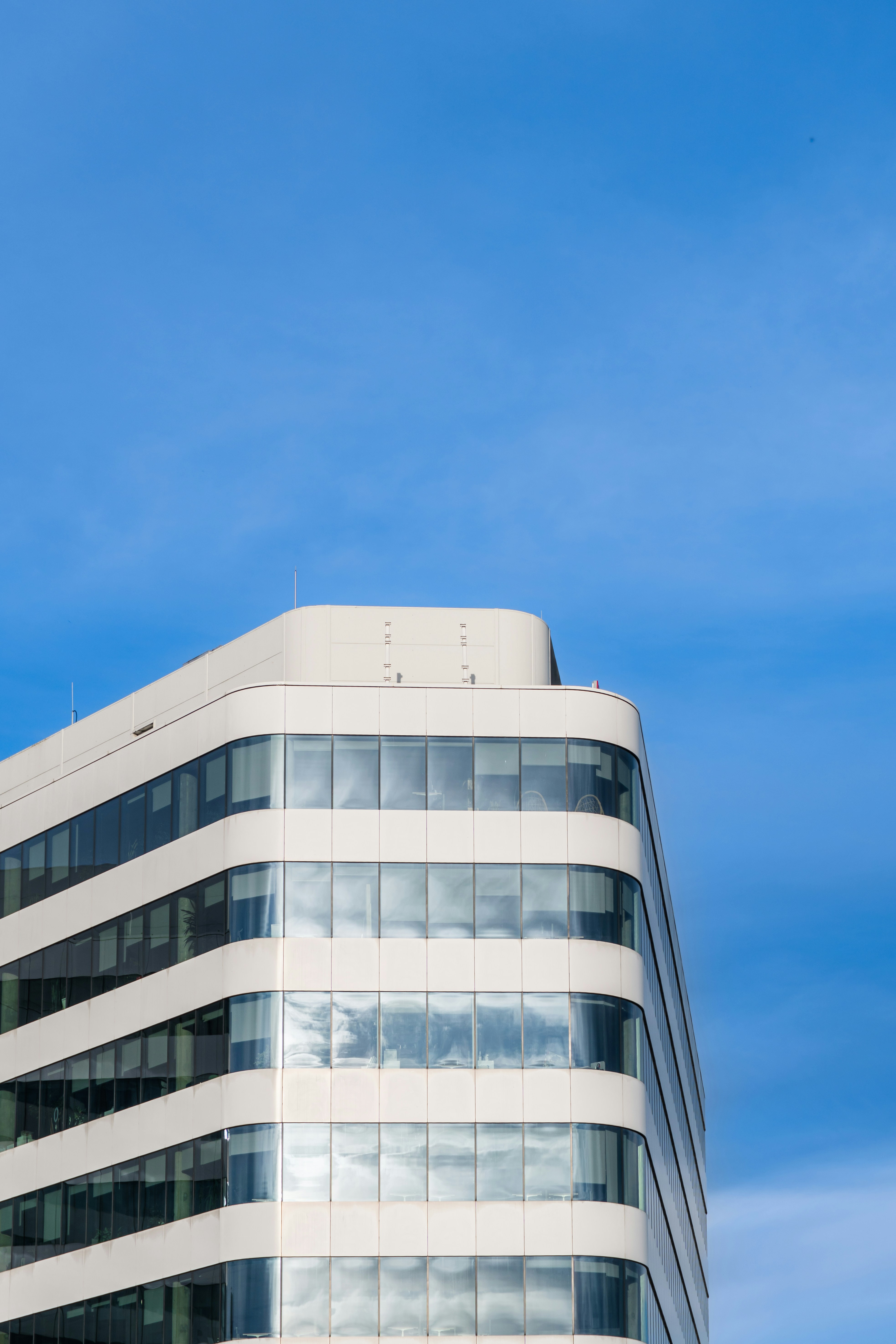 Curved Facade at Dusk: A Modern Office Corner Reaching for the Sky