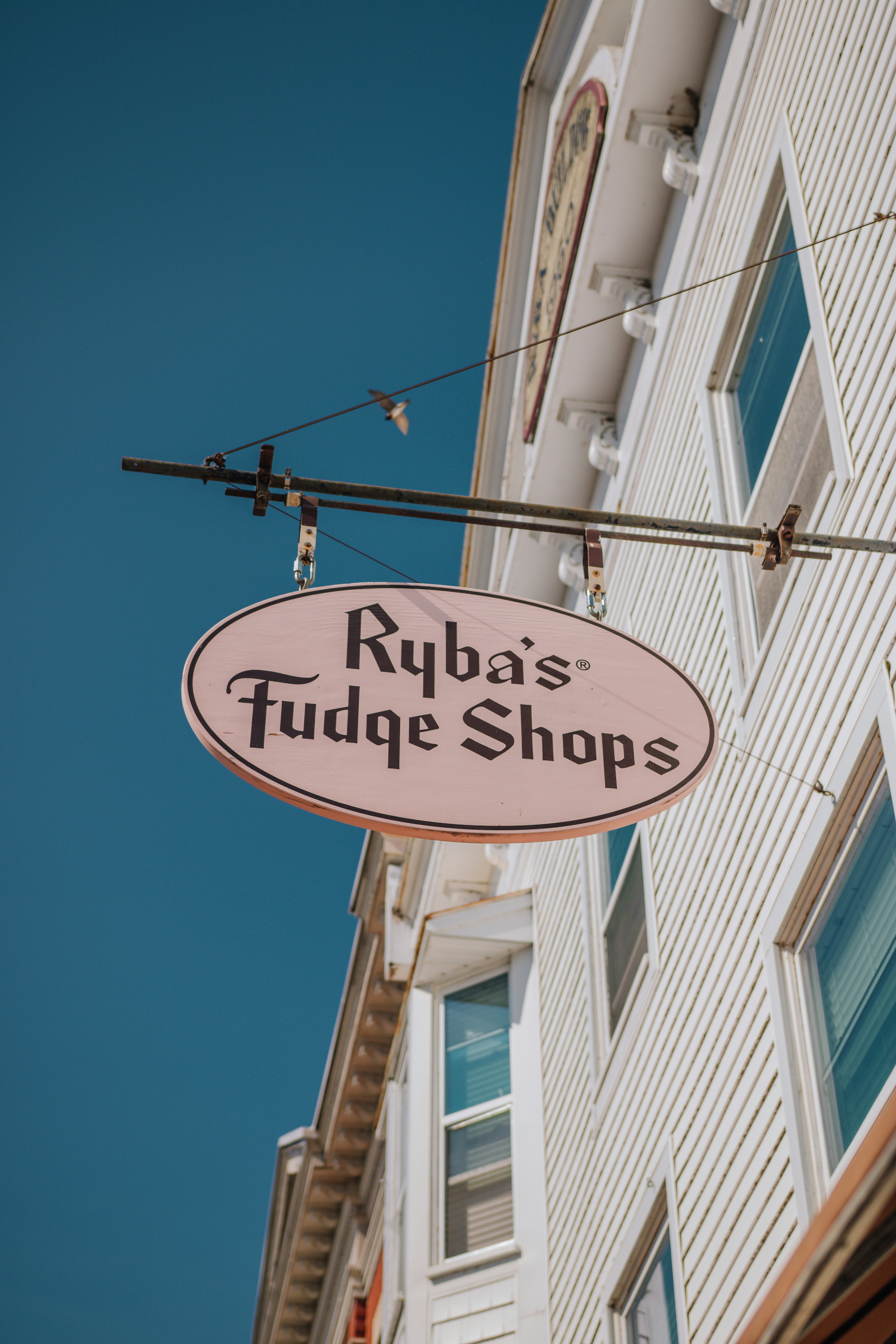 Pink Oval Signset Soaring Above a White Facade