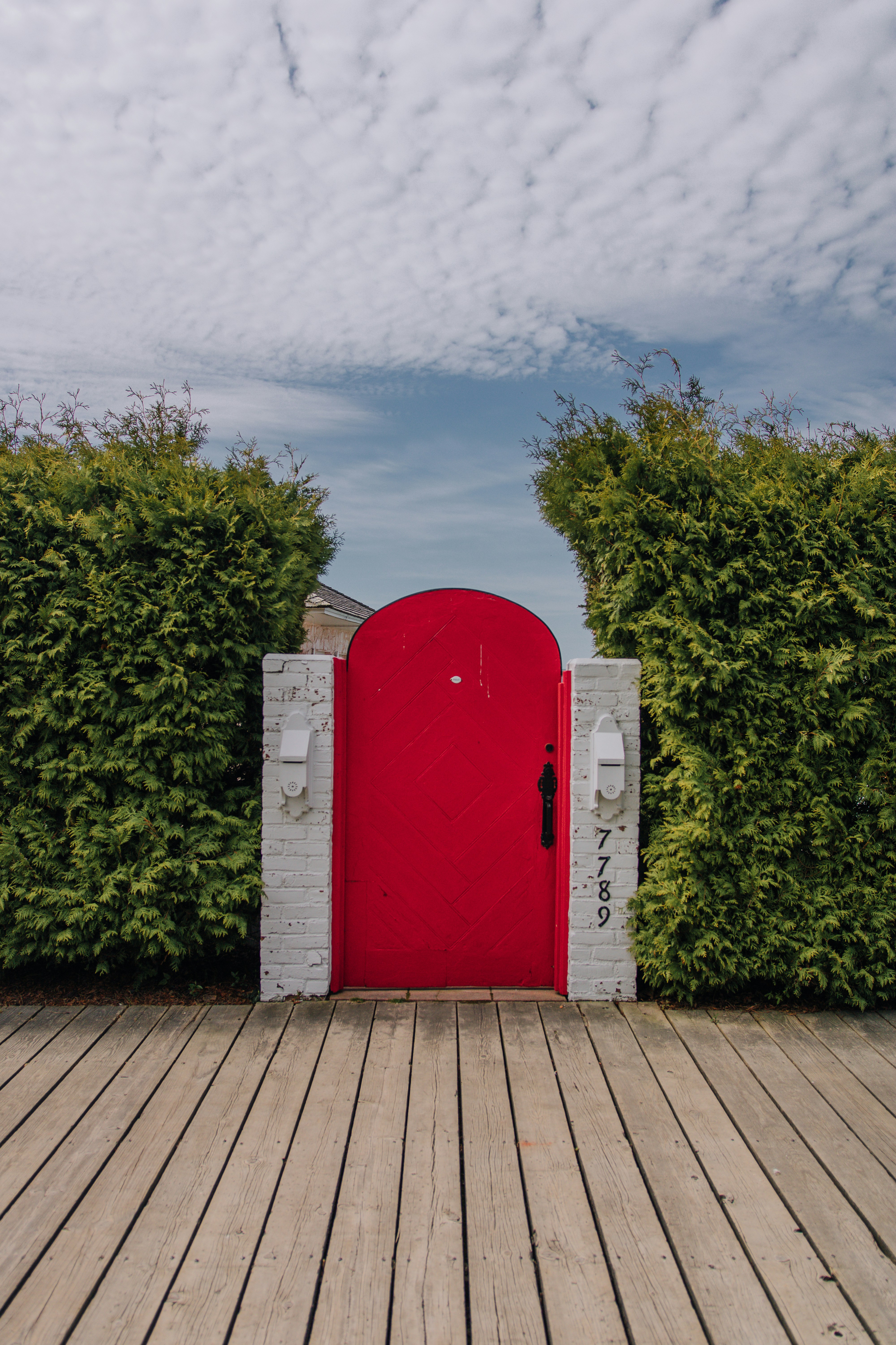 Crimson Gate Between Evergreen Walls