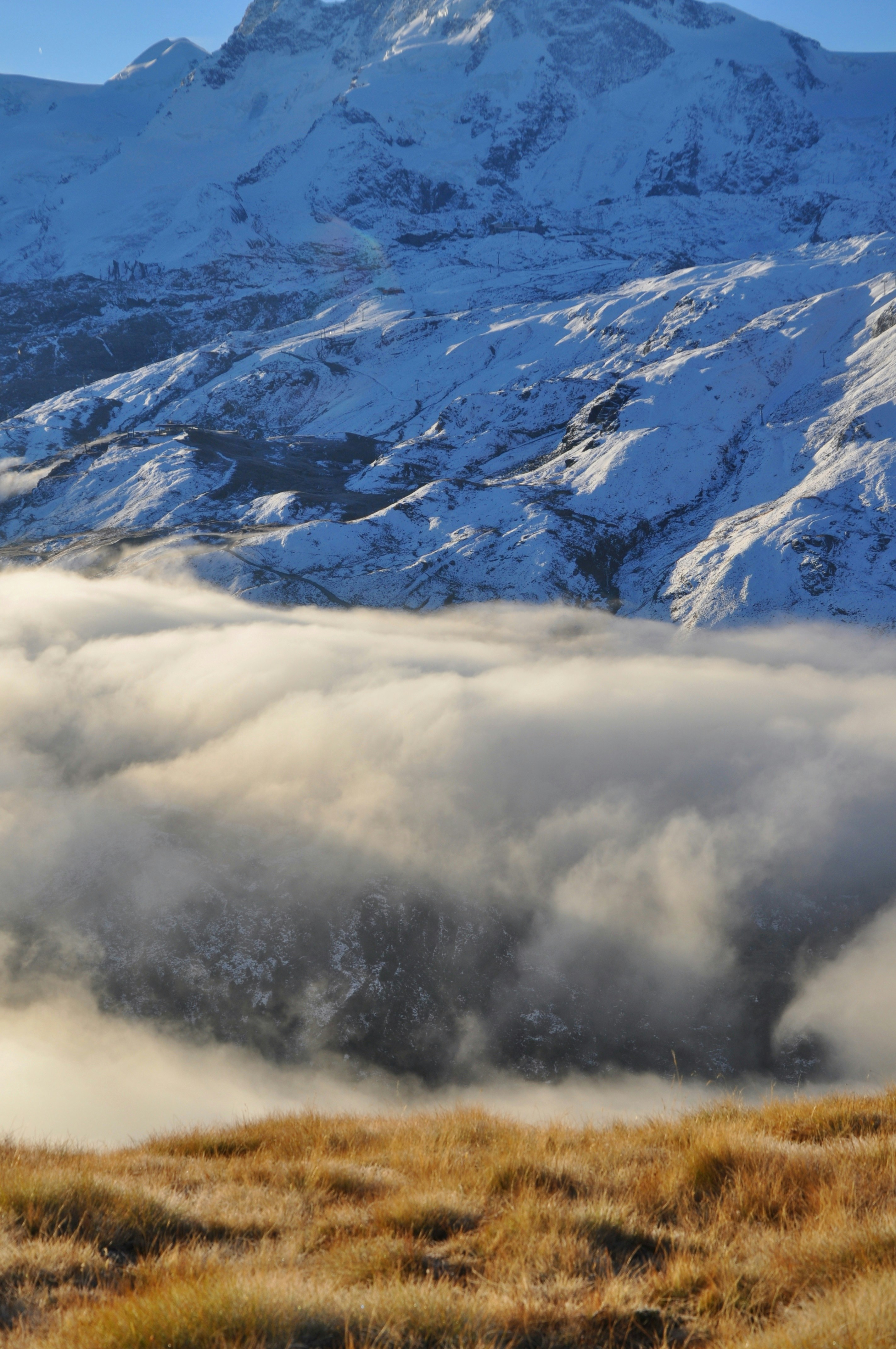 Mist-clad Peaks Above the Alpine Grass
